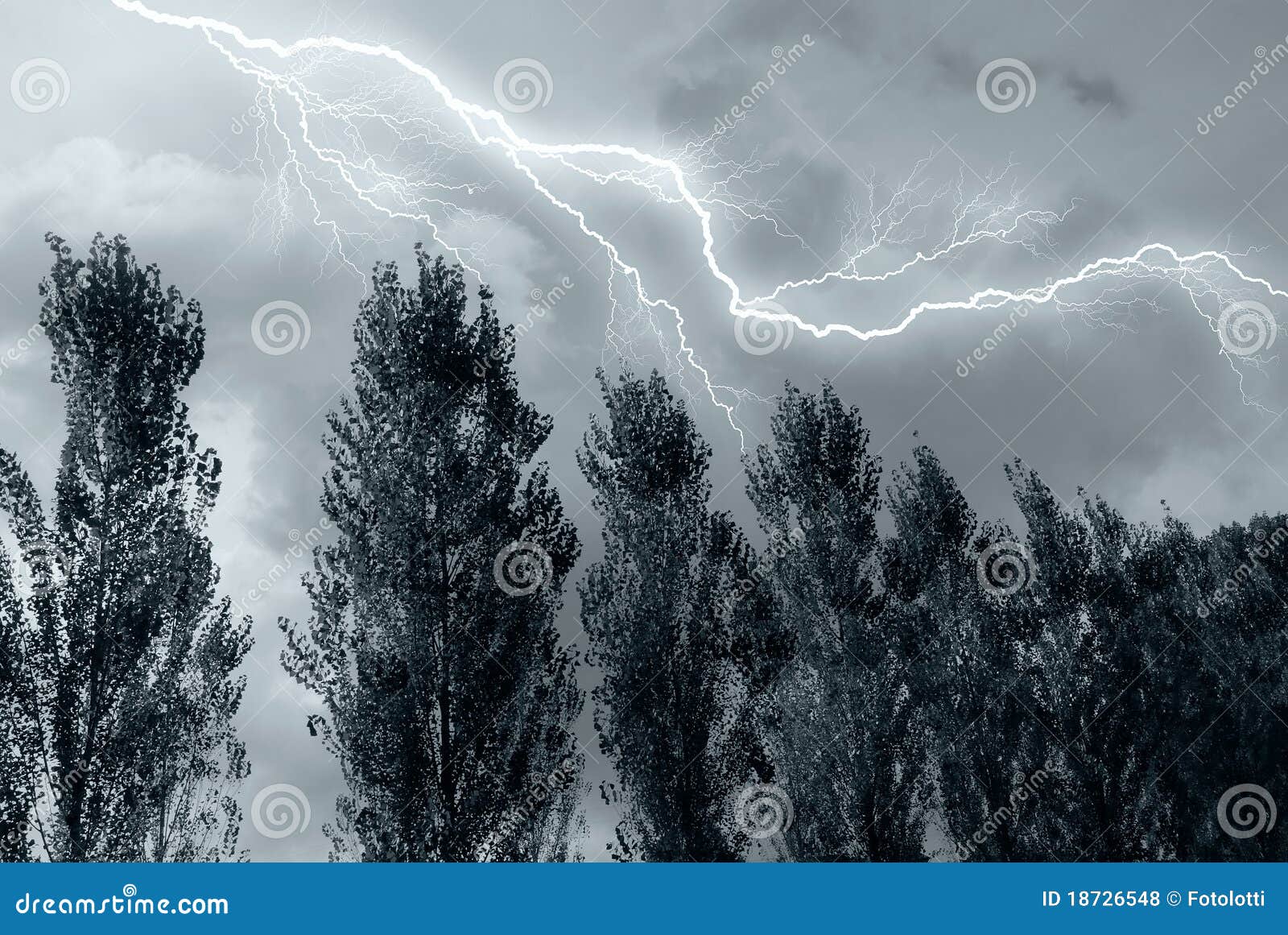 Lightning over the tree stock photo. Image of dangerous - 18726548