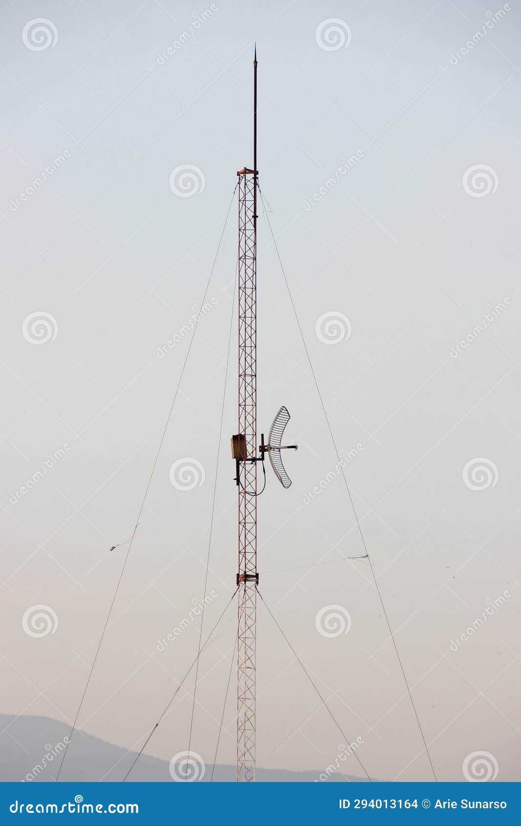 Lightning Protection System. Lightning Protection Components Conductors ...