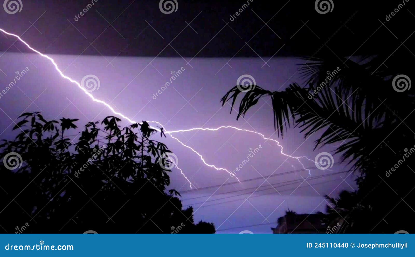 Lightning. Real Flashes of Lightning Over the Tree during a Powerful ...
