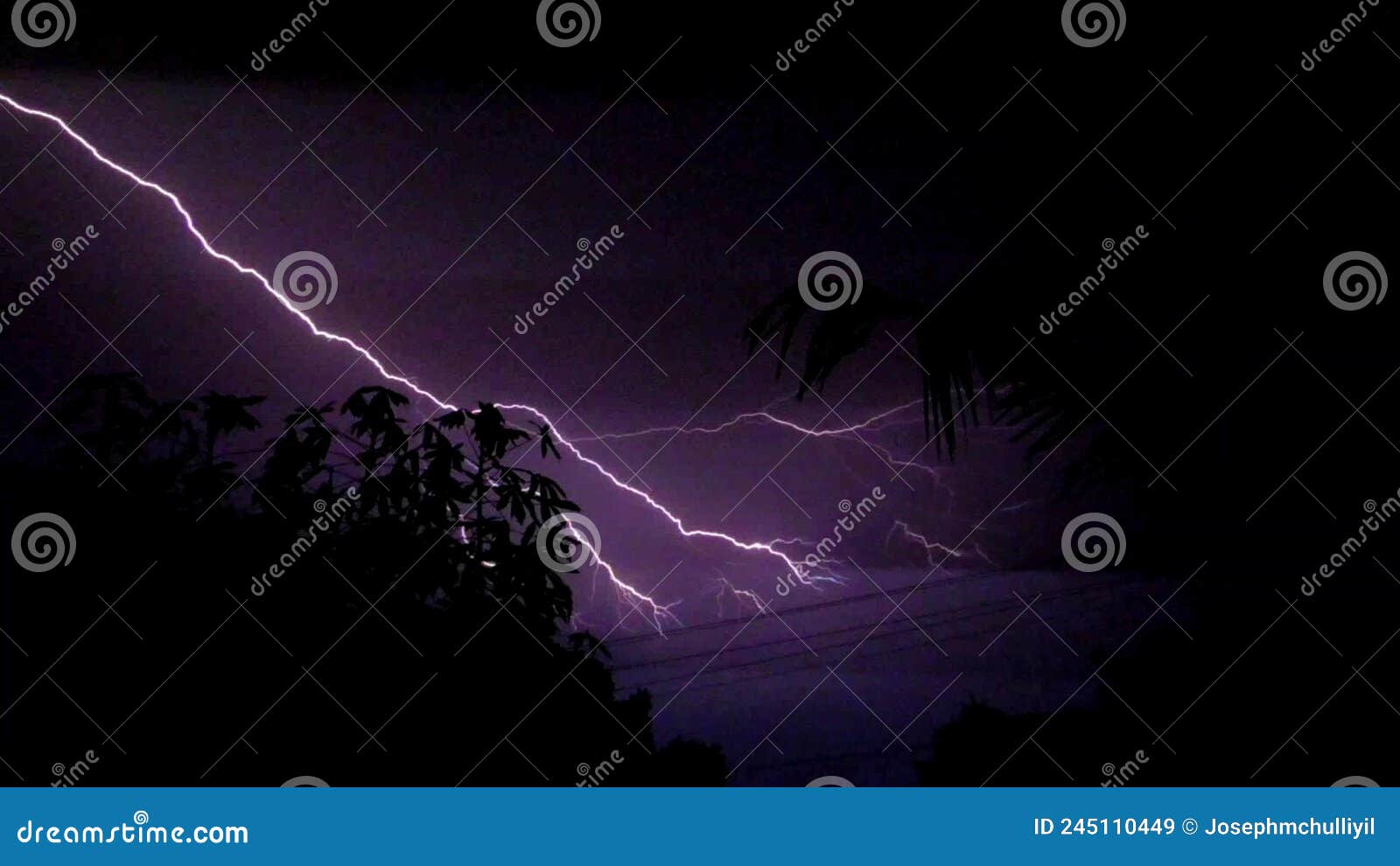 Lightning. Real Flashes Of Lightning Over The Tree During A Powerful ...