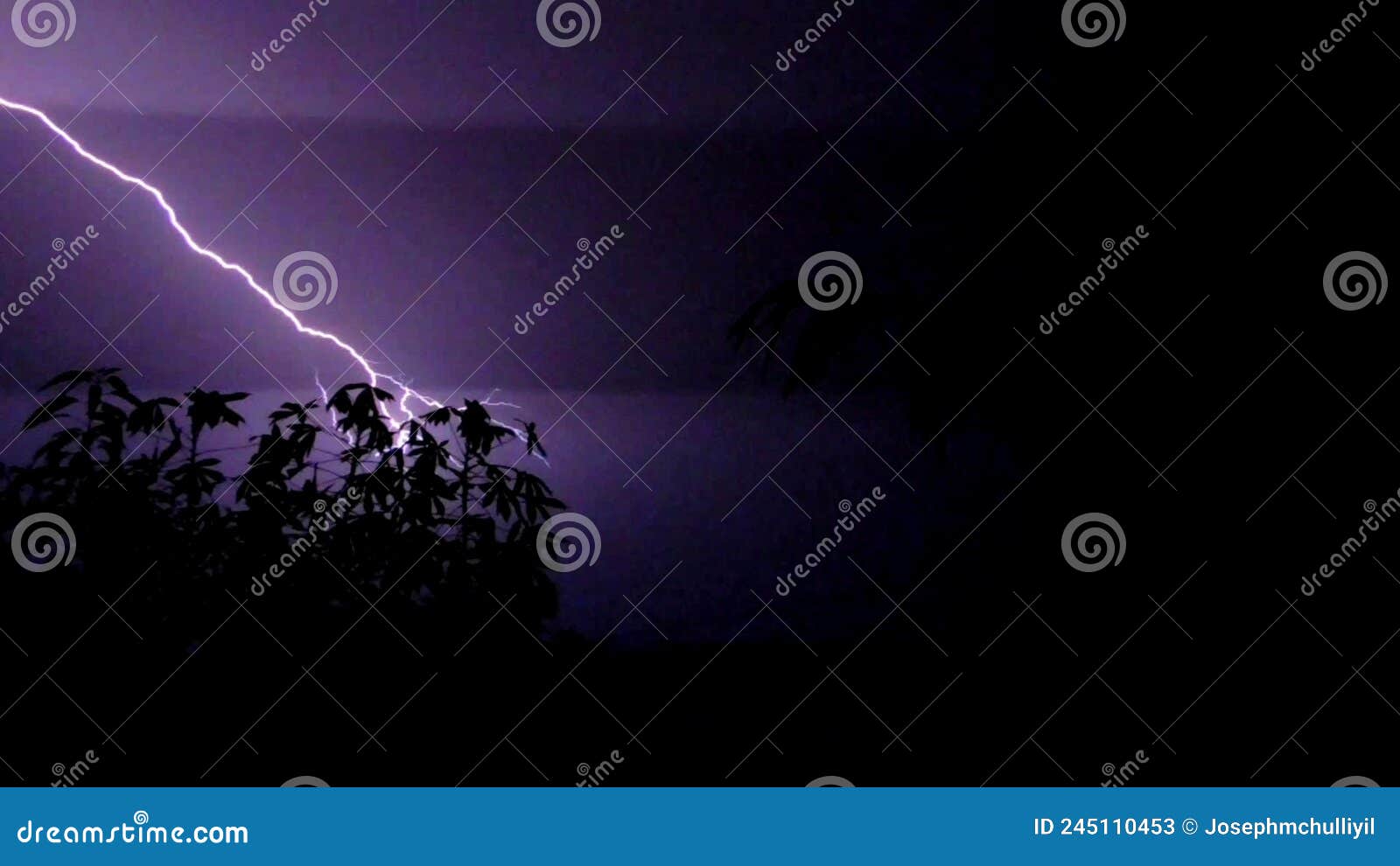 Lightning. Real Flashes Of Lightning Over The Tree During A Powerful ...