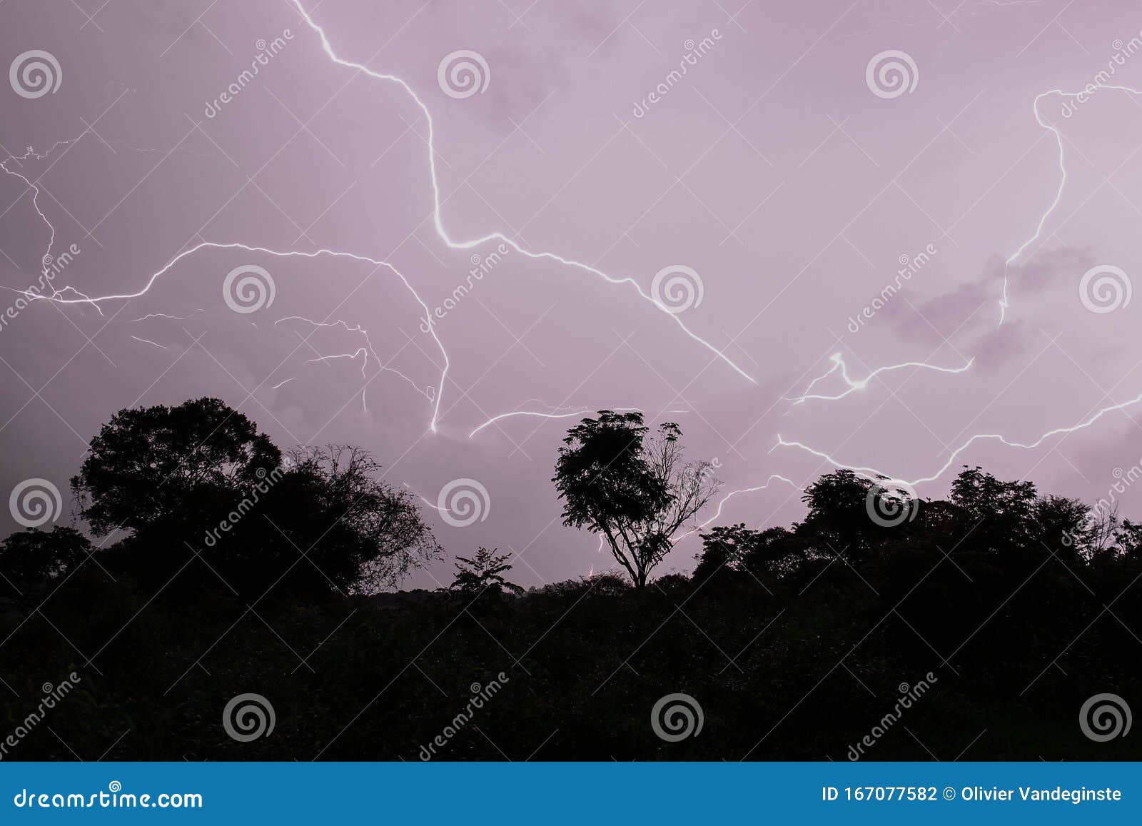 Lightning in a Slow Moving Thunderstorm Over Trees. Stock Photo - Image ...