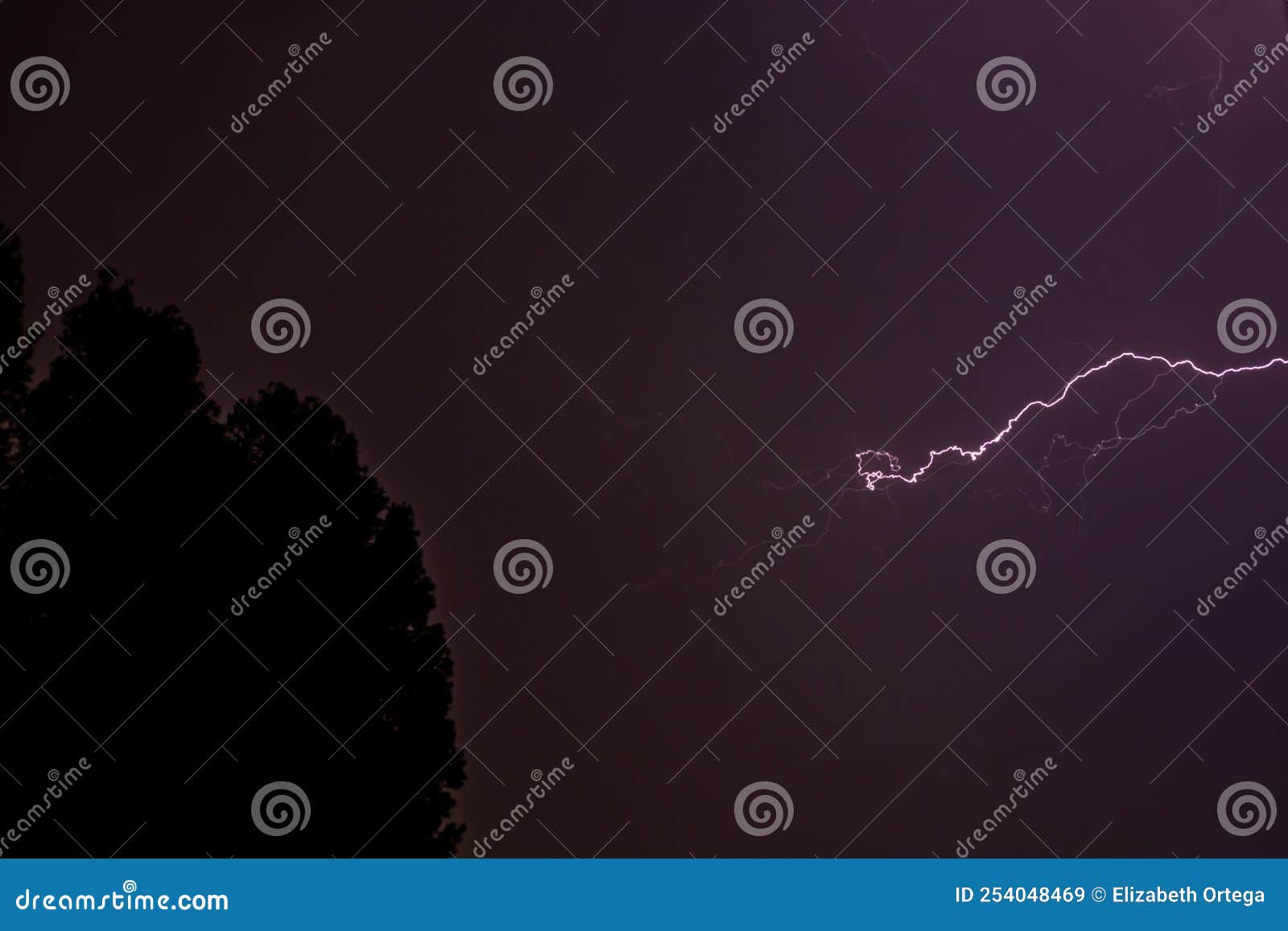Lightning Storm, Summer Storm, Lightning and Thunder in Purple Colors ...