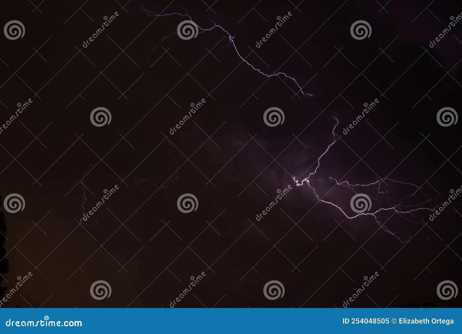 Lightning Storm, Summer Storm, Lightning and Thunder in Purple Colors ...