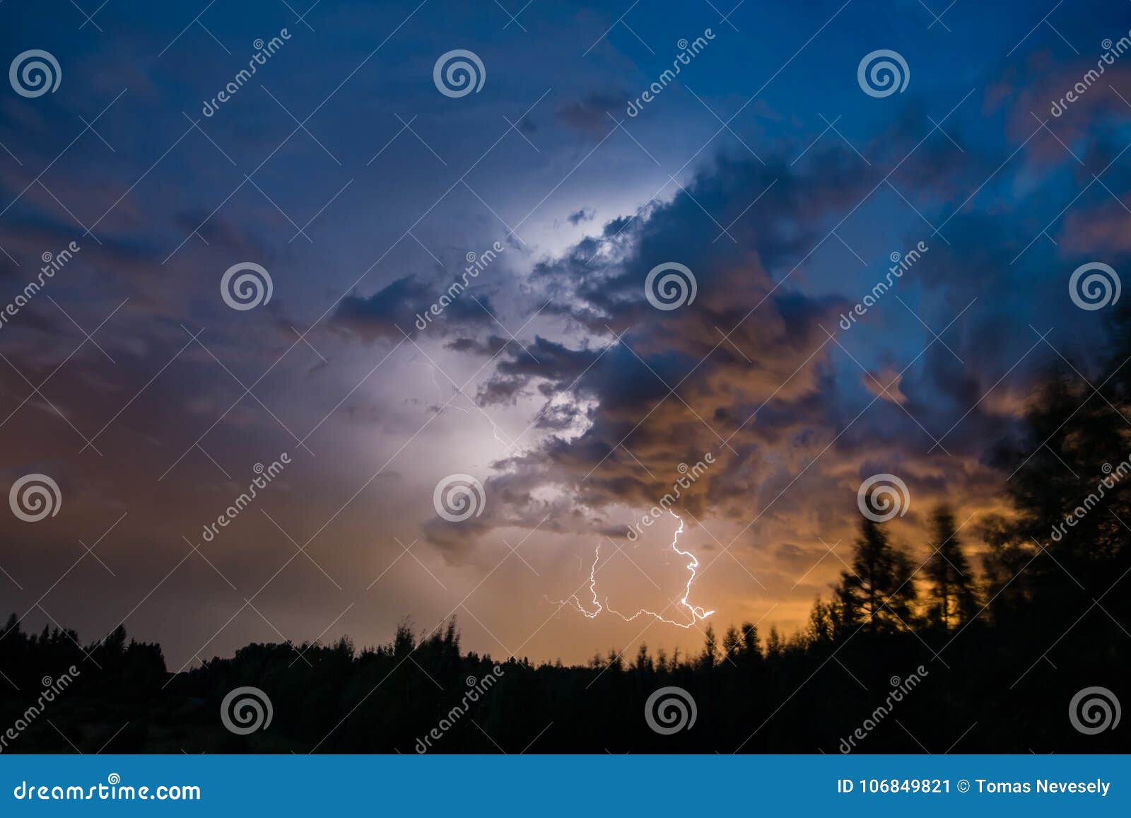 Lightning Strike Over the Forest Stock Image - Image of thunder ...