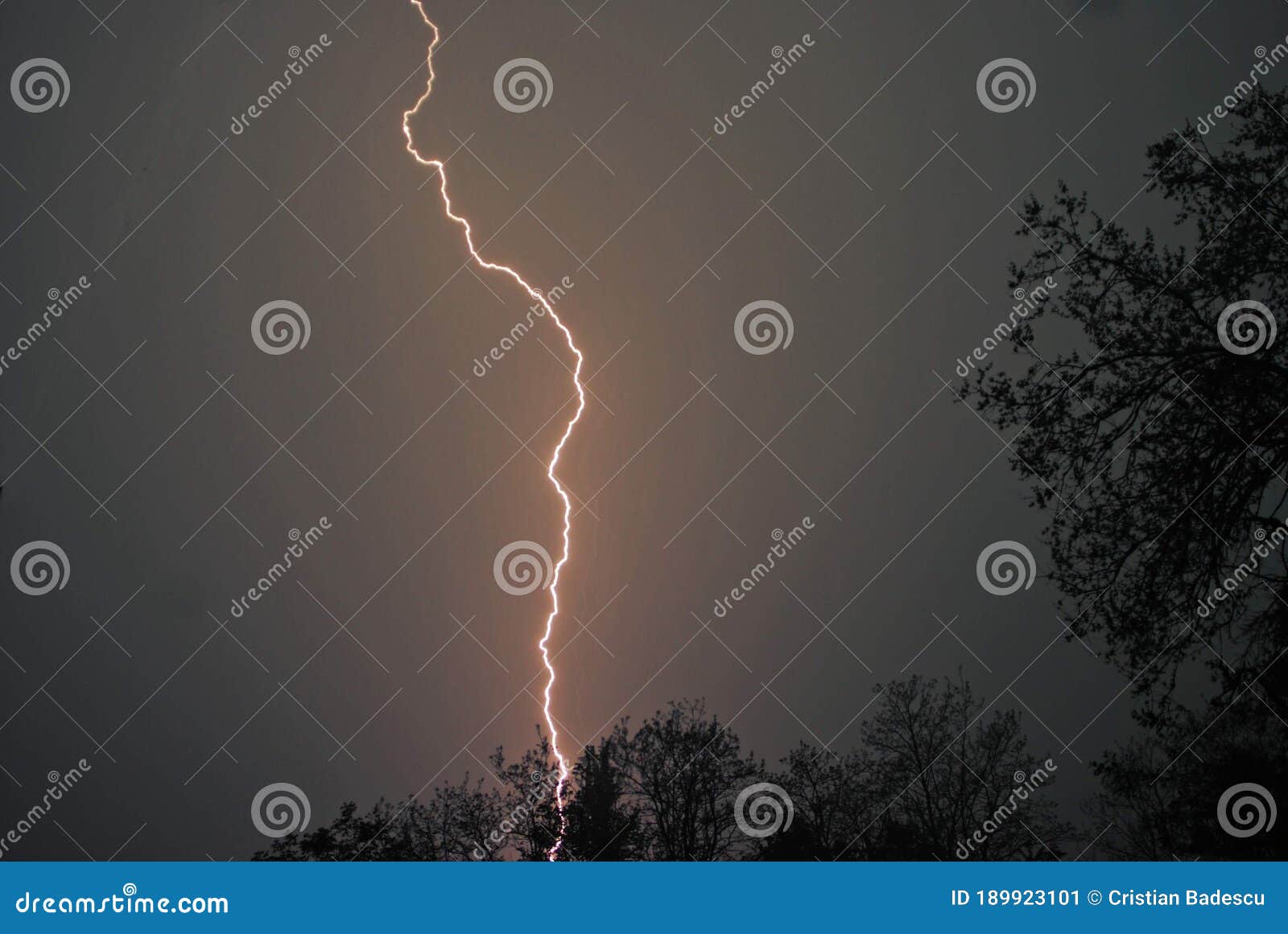 Lightning that Strikes the Forest Stock Image - Image of charge ...
