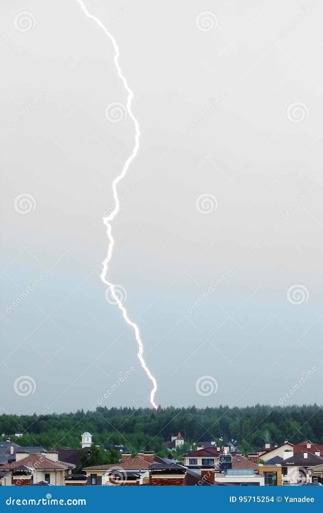 Lightning Strikes a Tree in a Forest Stock Photo - Image of dark, night ...