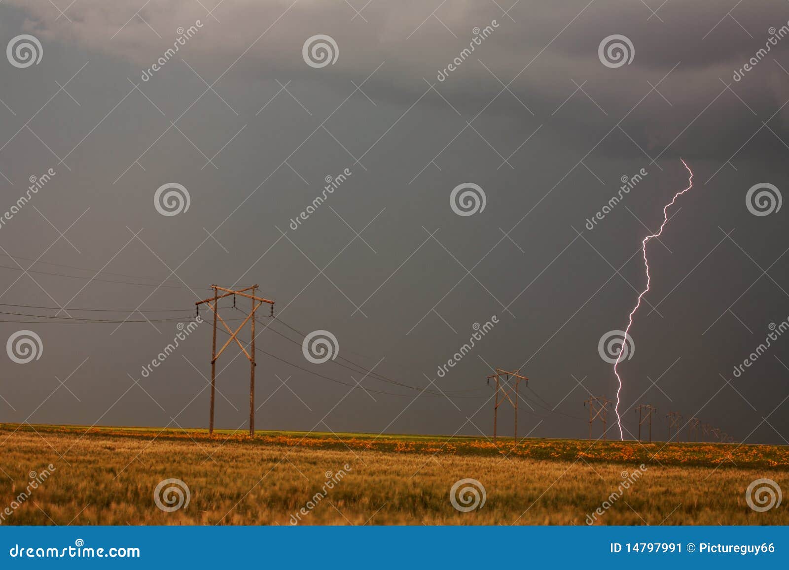 293 Saskatchewan Power Stock Photos - Free & Royalty-Free Stock Photos ...