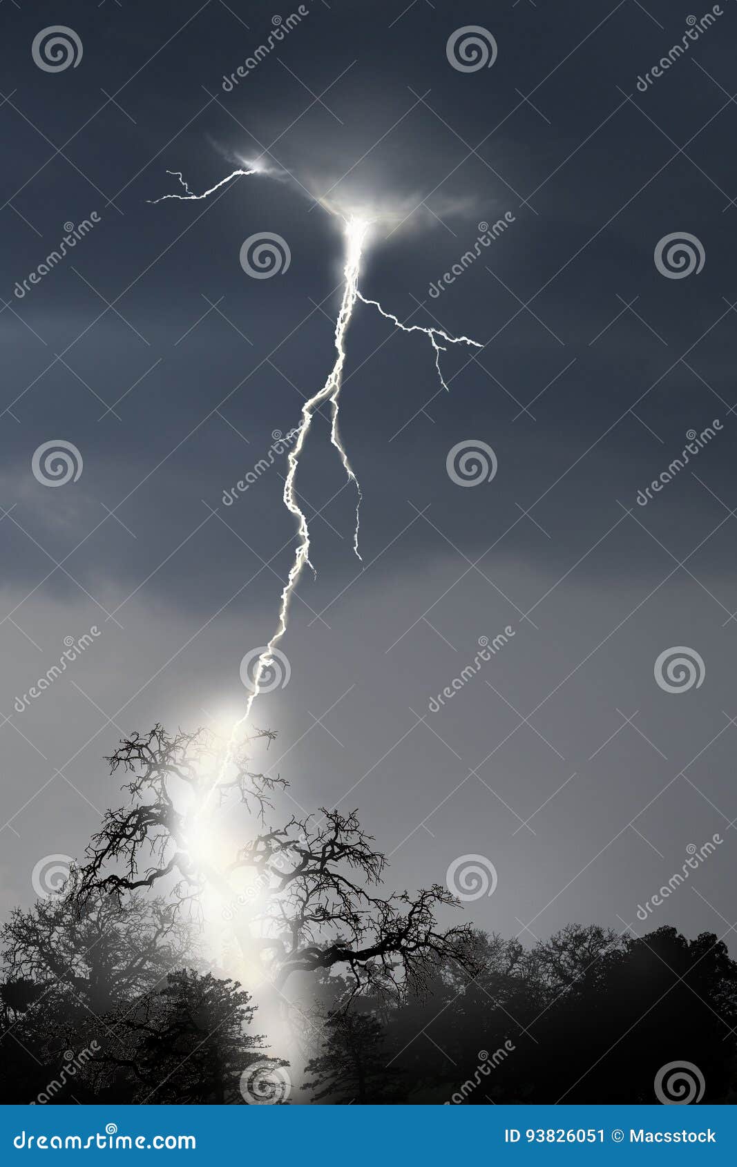 Lightning striking a tree stock image. Image of cloud - 93826051