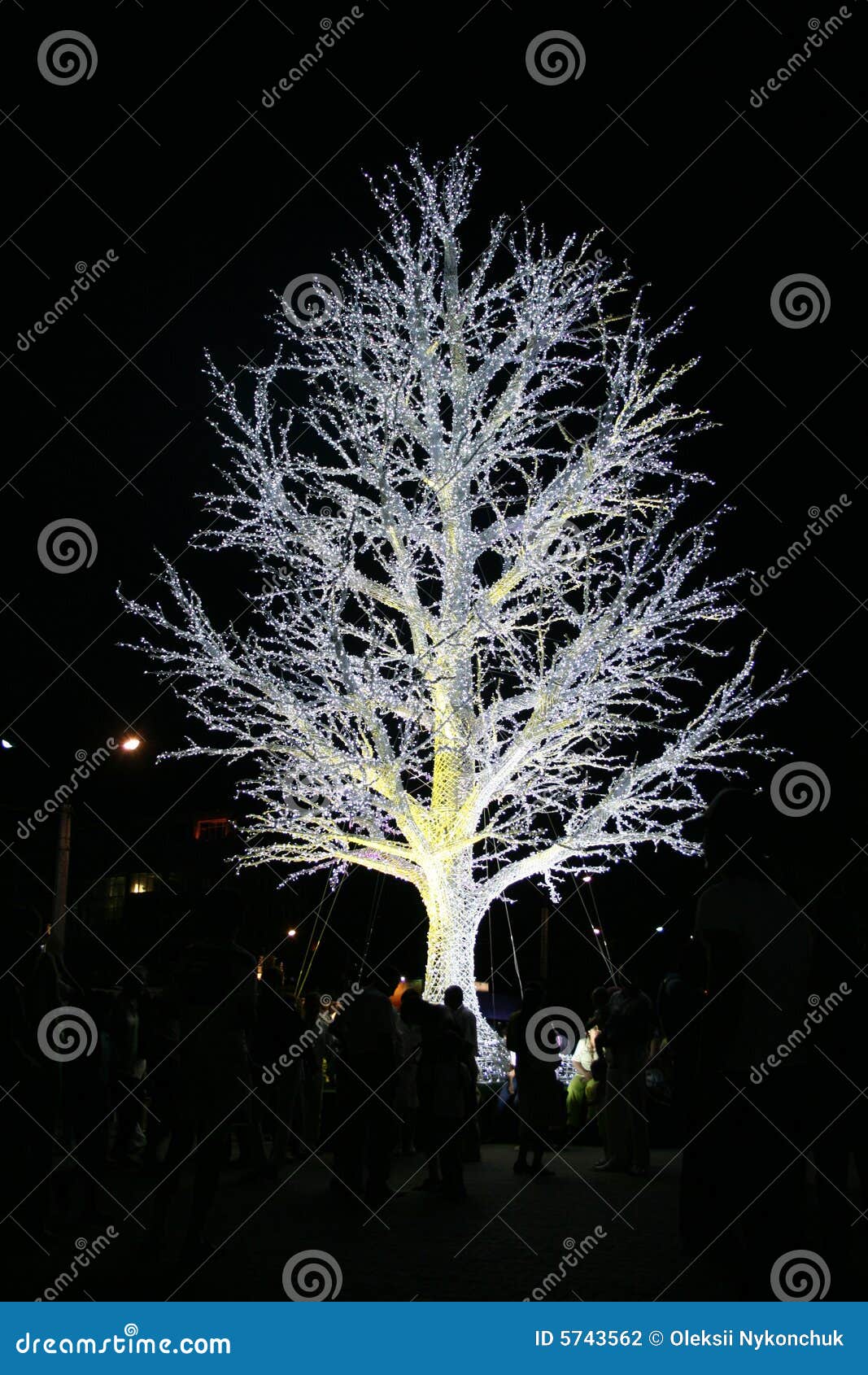 Lightning On Tree Stock Image | CartoonDealer.com #32050567