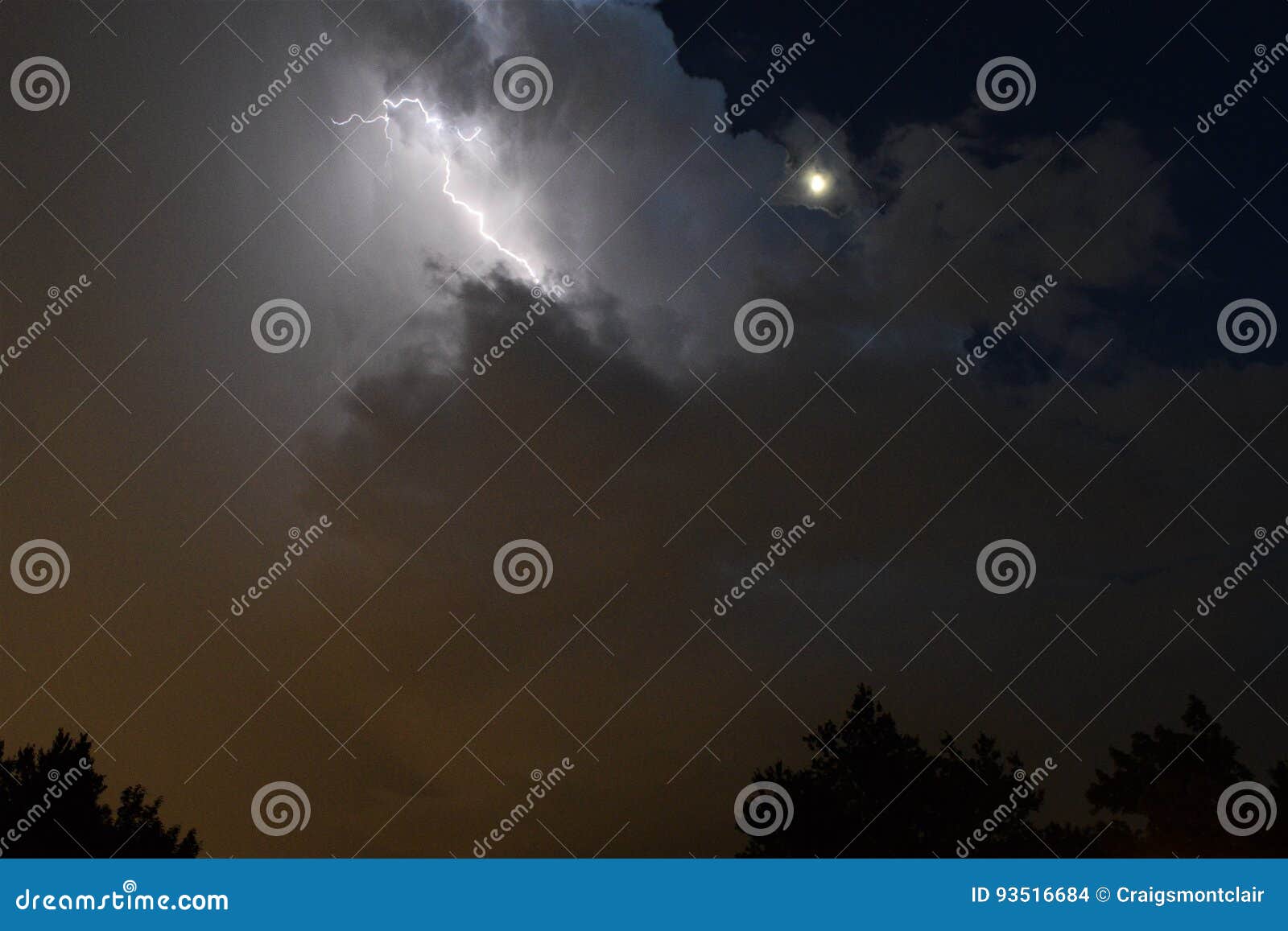 Lightning And The Tree Royalty-Free Stock Image | CartoonDealer.com ...