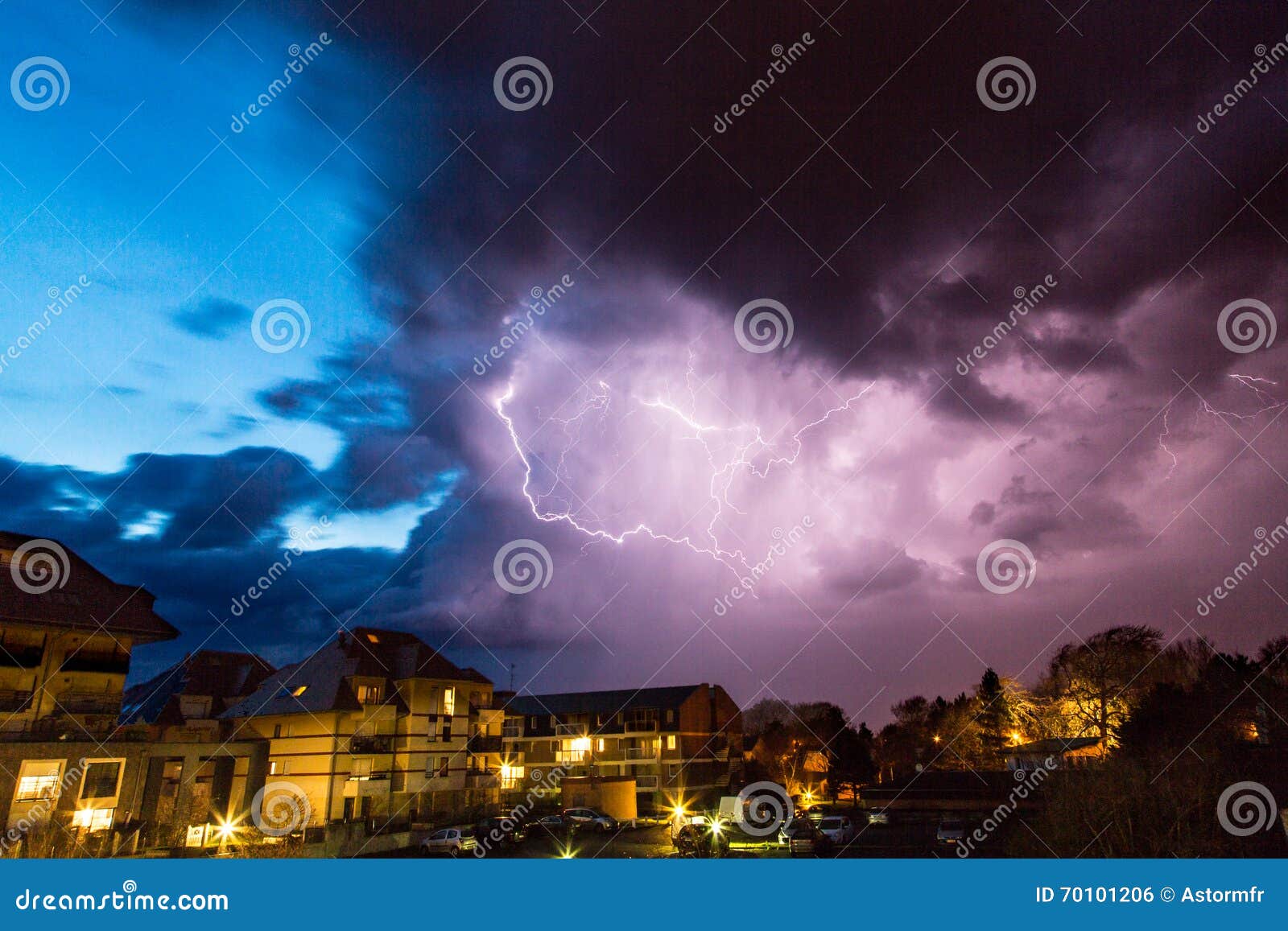 Lightning On The Tree Stock Image | CartoonDealer.com #208823263