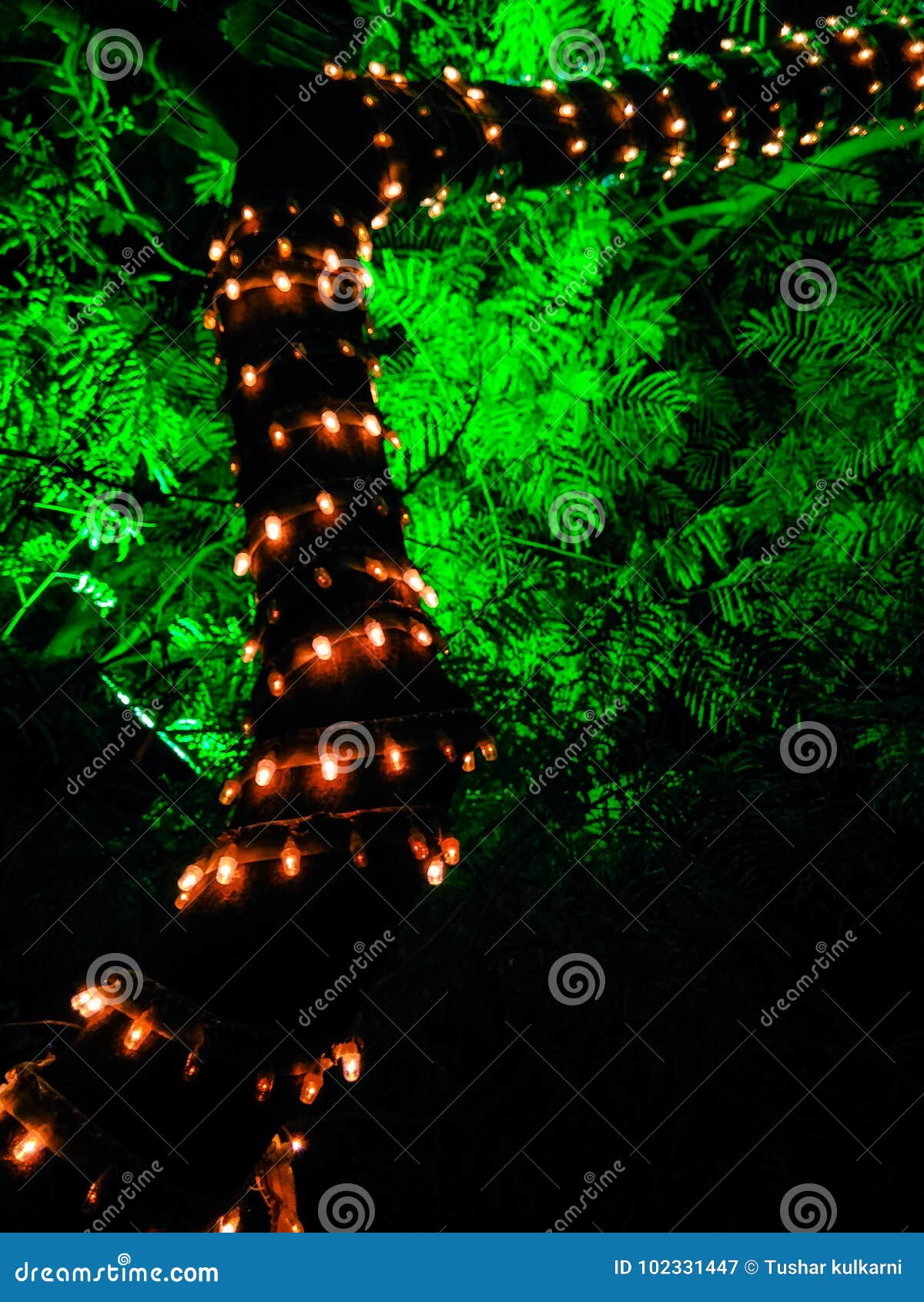 Lightning trees stock image. Image of diwali, trees - 102331447