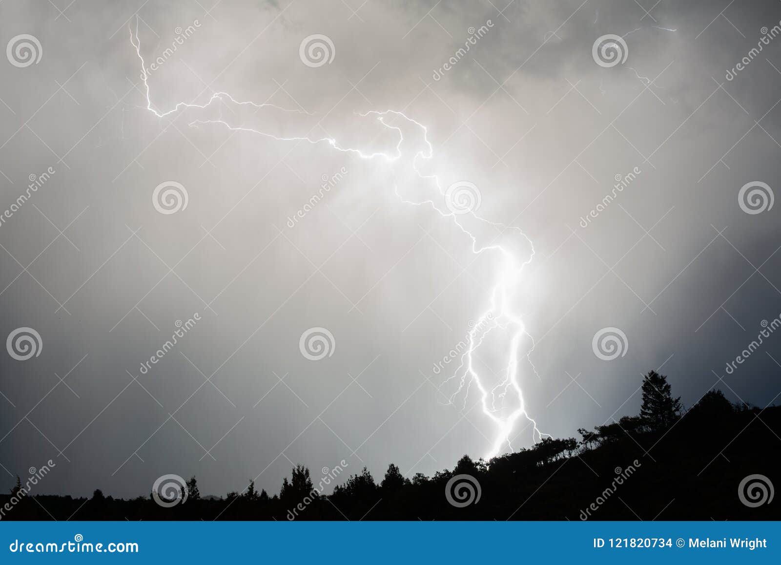 Lightning Zags Across the Sky and Down Towards a Silhouetted Tree ...