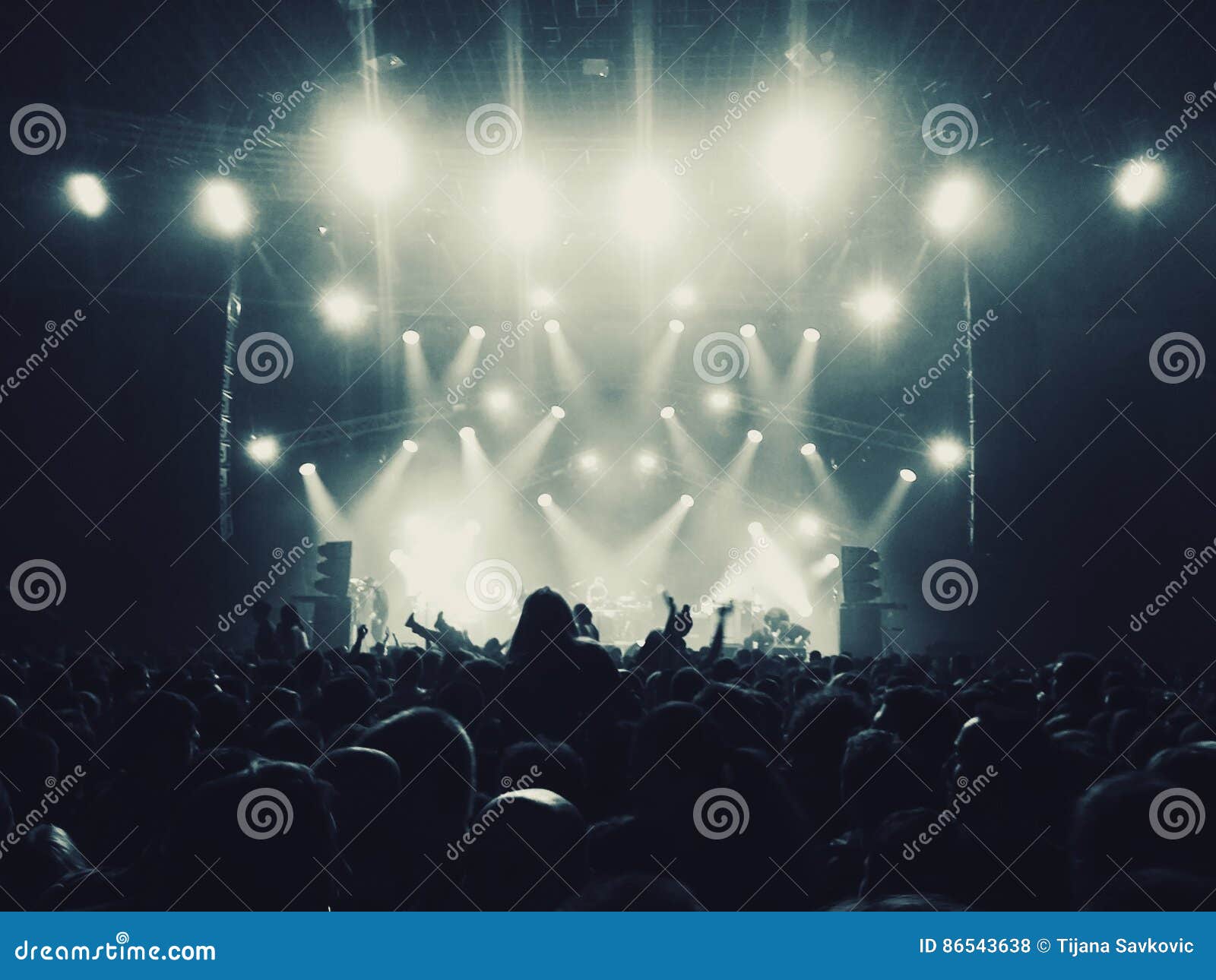 Lights and Audience at the Concert Editorial Stock Photo - Image of ...