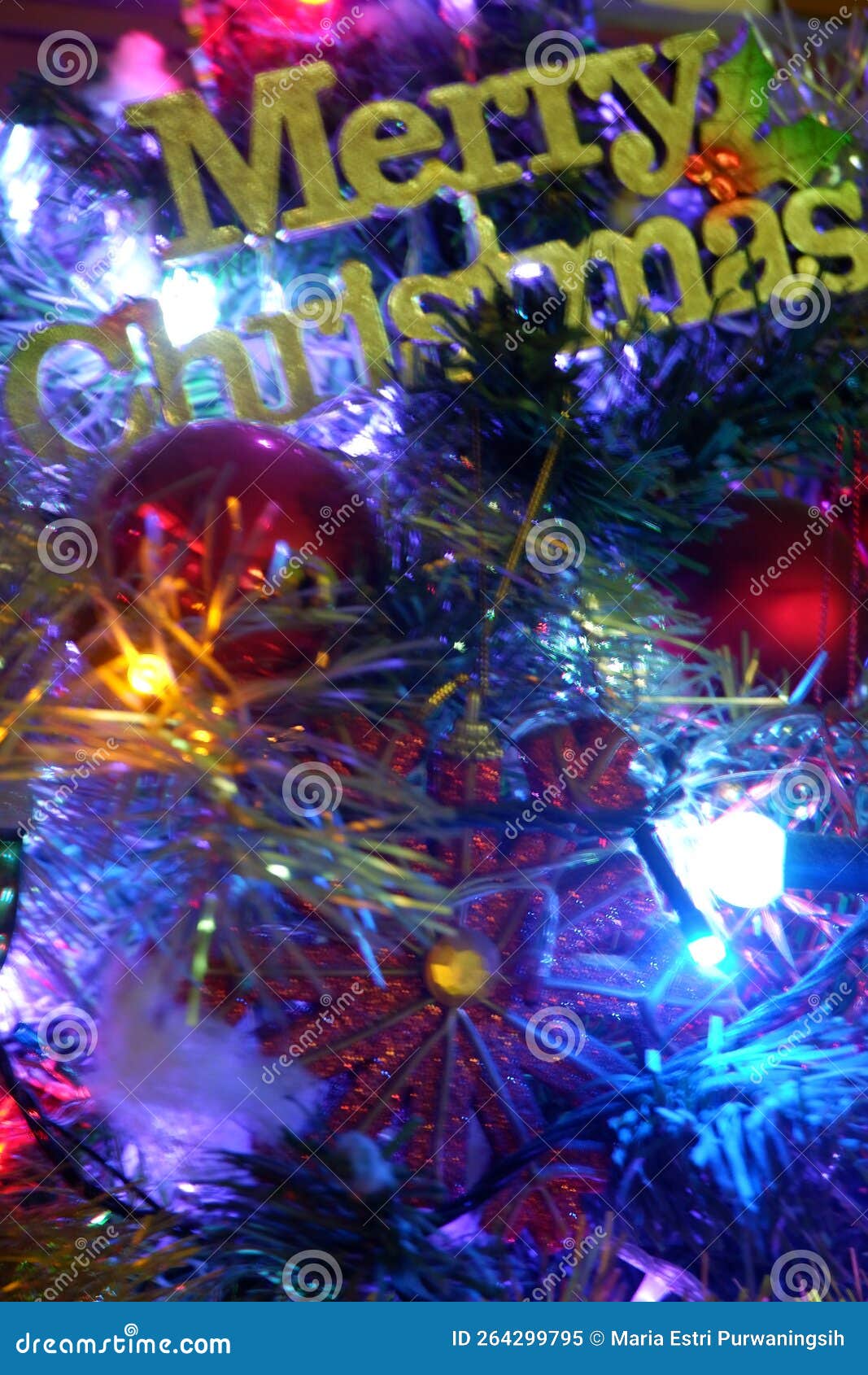 The Lights of the Christmas Tree and the Word of Merry Christmas Stock ...