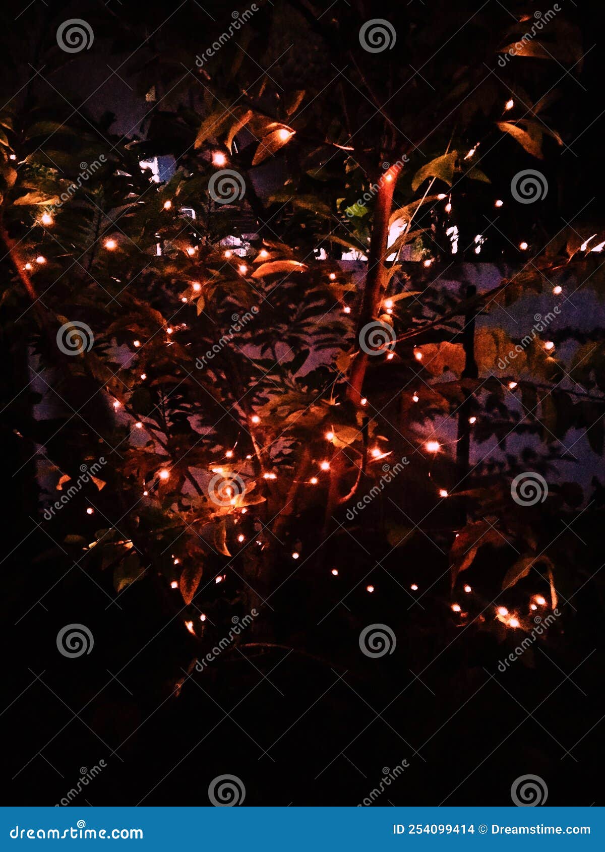 Lights in the Dark at Night Stock Photo - Image of screen, brochure ...