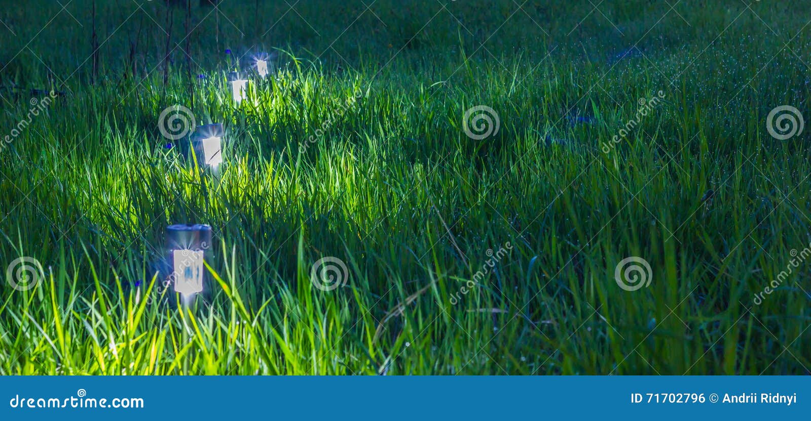Lights in the garden stock photo. Image of background - 71702796
