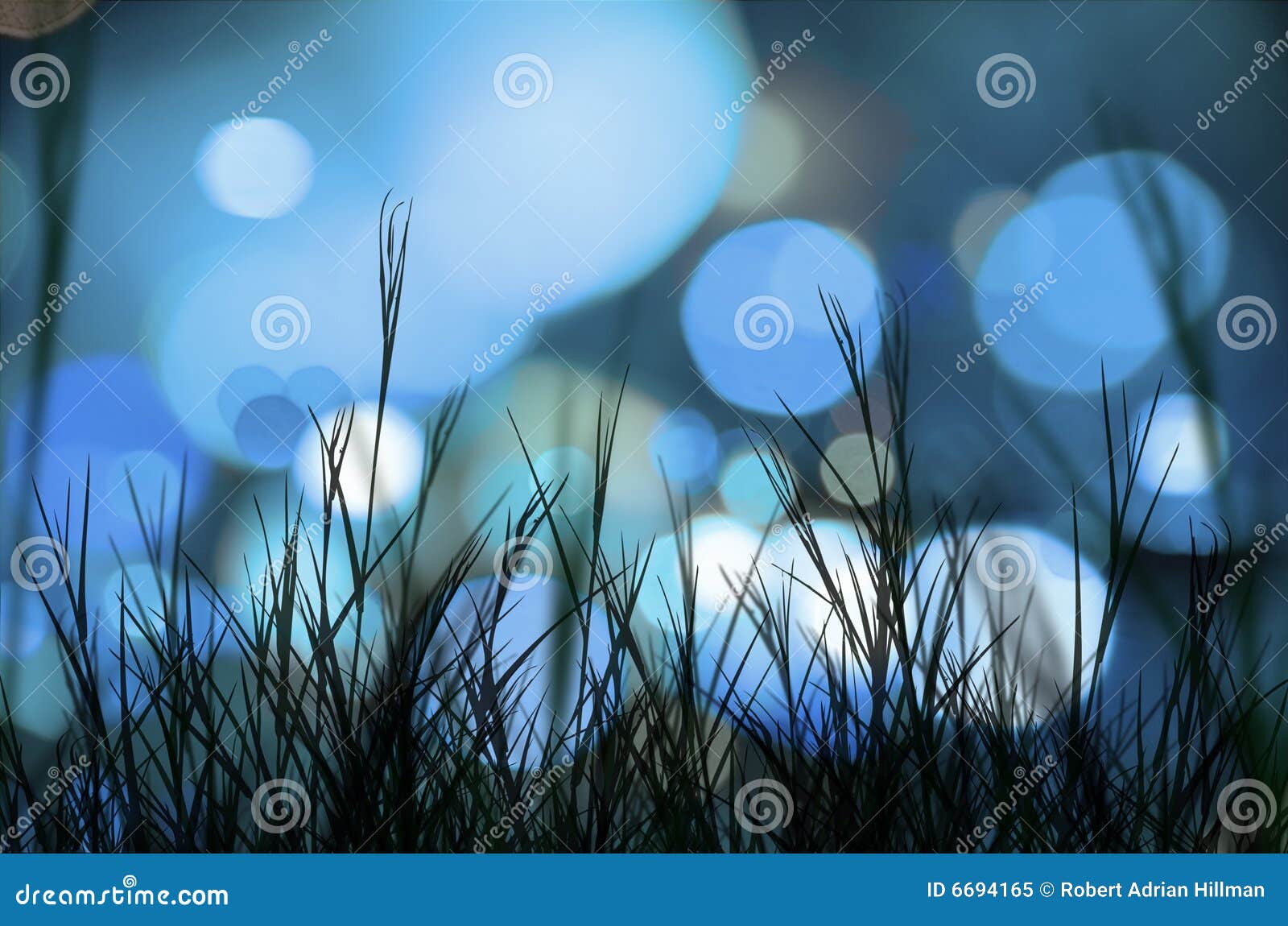 Lights and grass stock image. Image of lights, copy, vegetation - 6694165