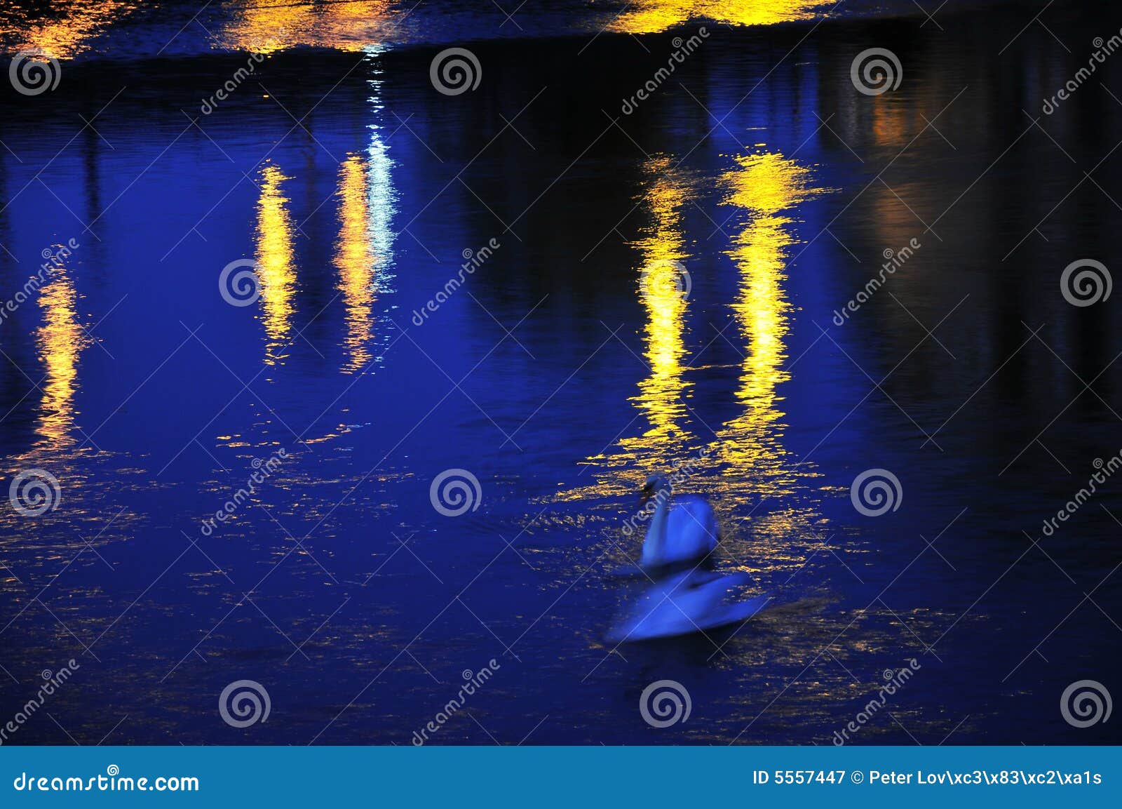 Lights reflecting in water stock image. Image of light - 5557447