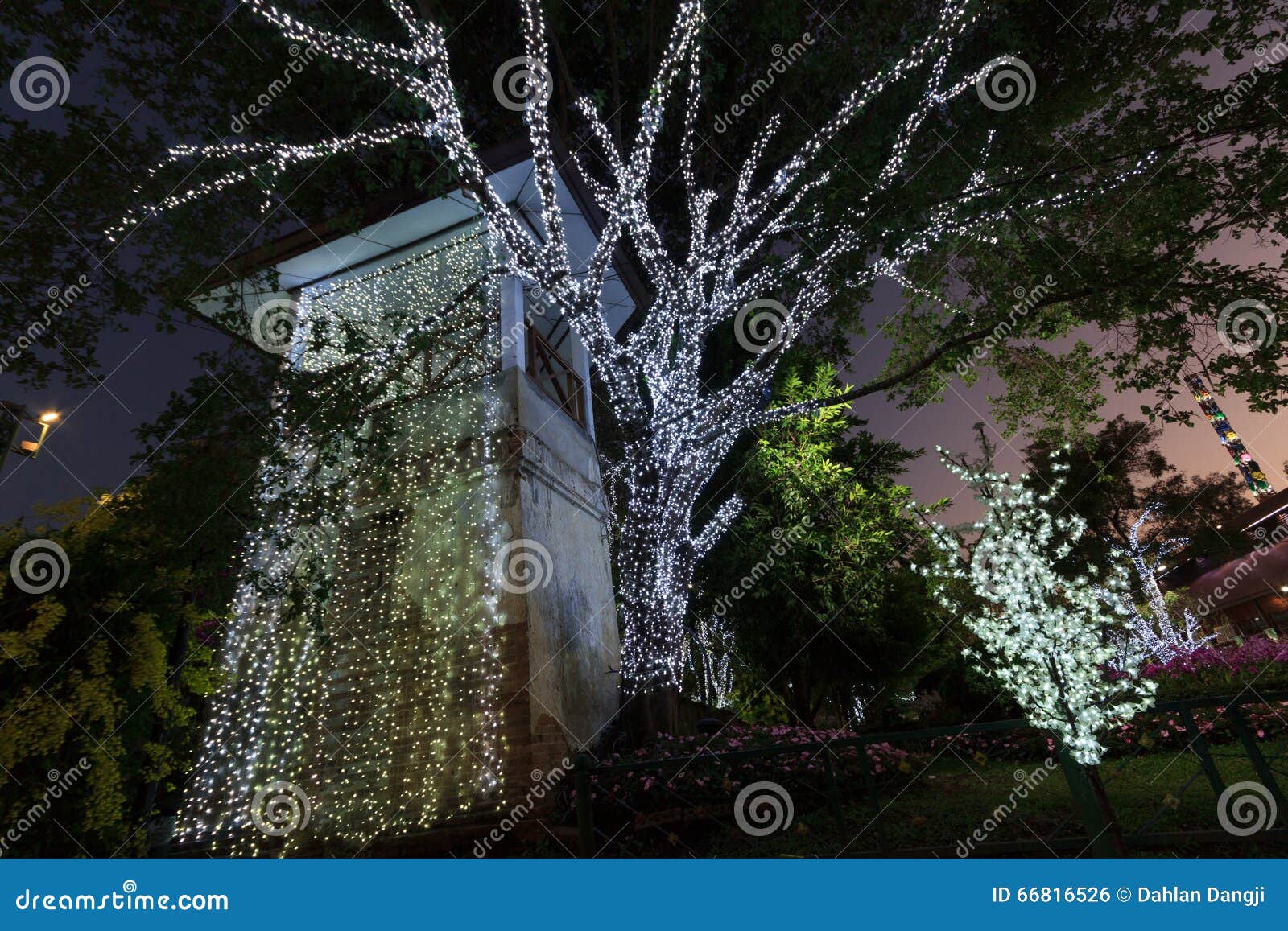 Lights on the tree stock photo. Image of colorful, luxury - 66816526