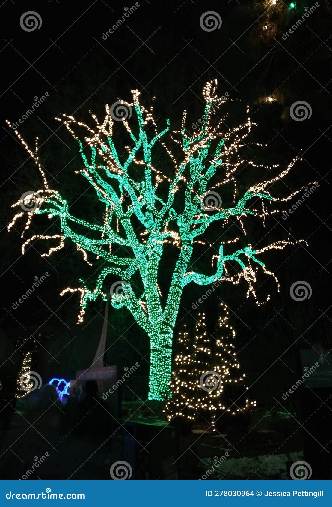 Lights on a Tree Green at Night Stock Photo - Image of object, twig ...