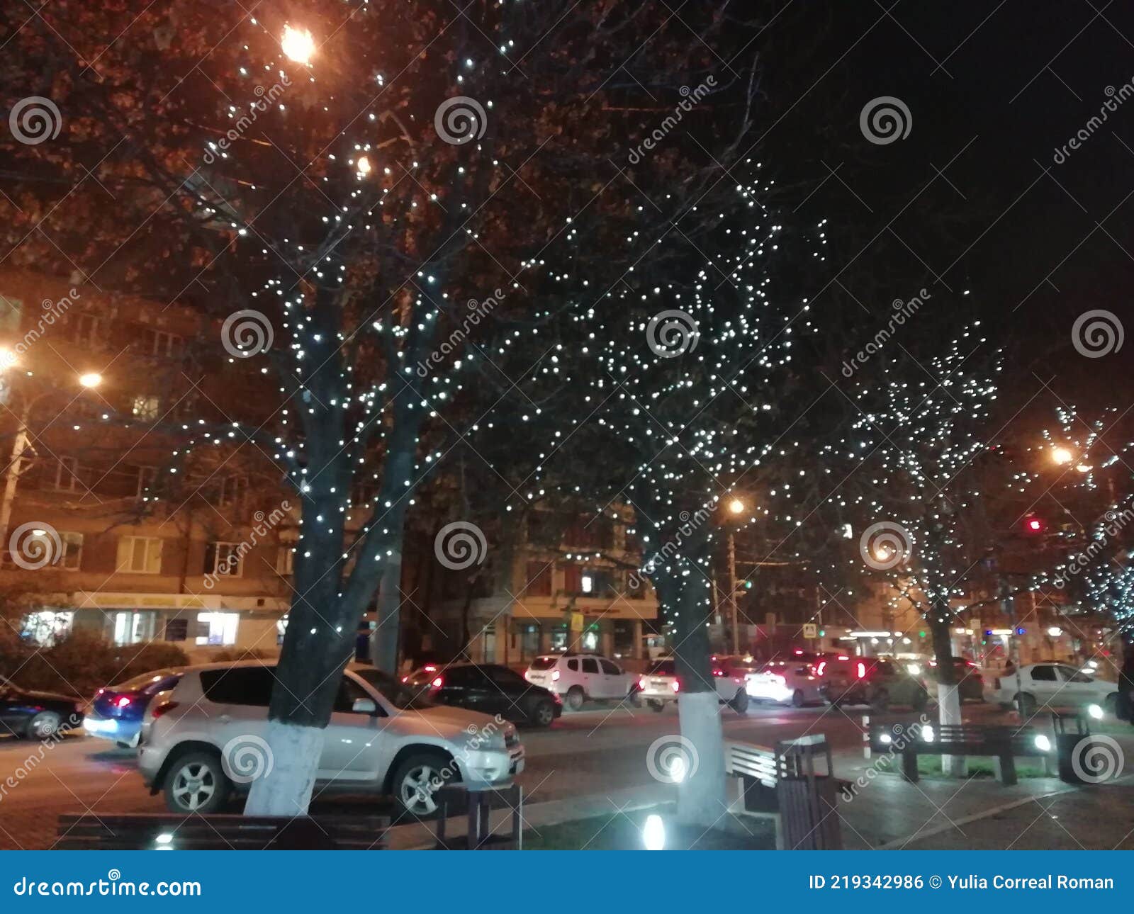 Lights on Trees in the City Editorial Photo - Image of luces, trees ...