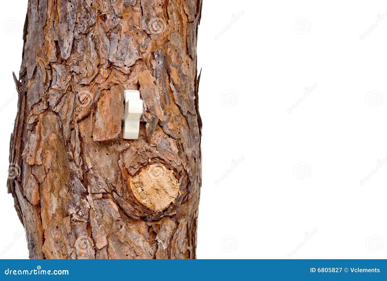 Lightswitch in a Tree Trunk Stock Image - Image of power, limb: 6805827