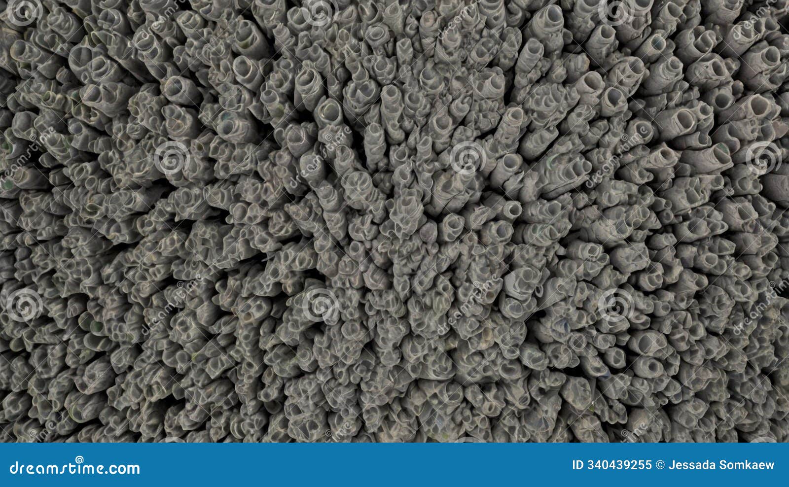 Lightweight Foam Structure with Open and Closed Cell Porosity Stock ...