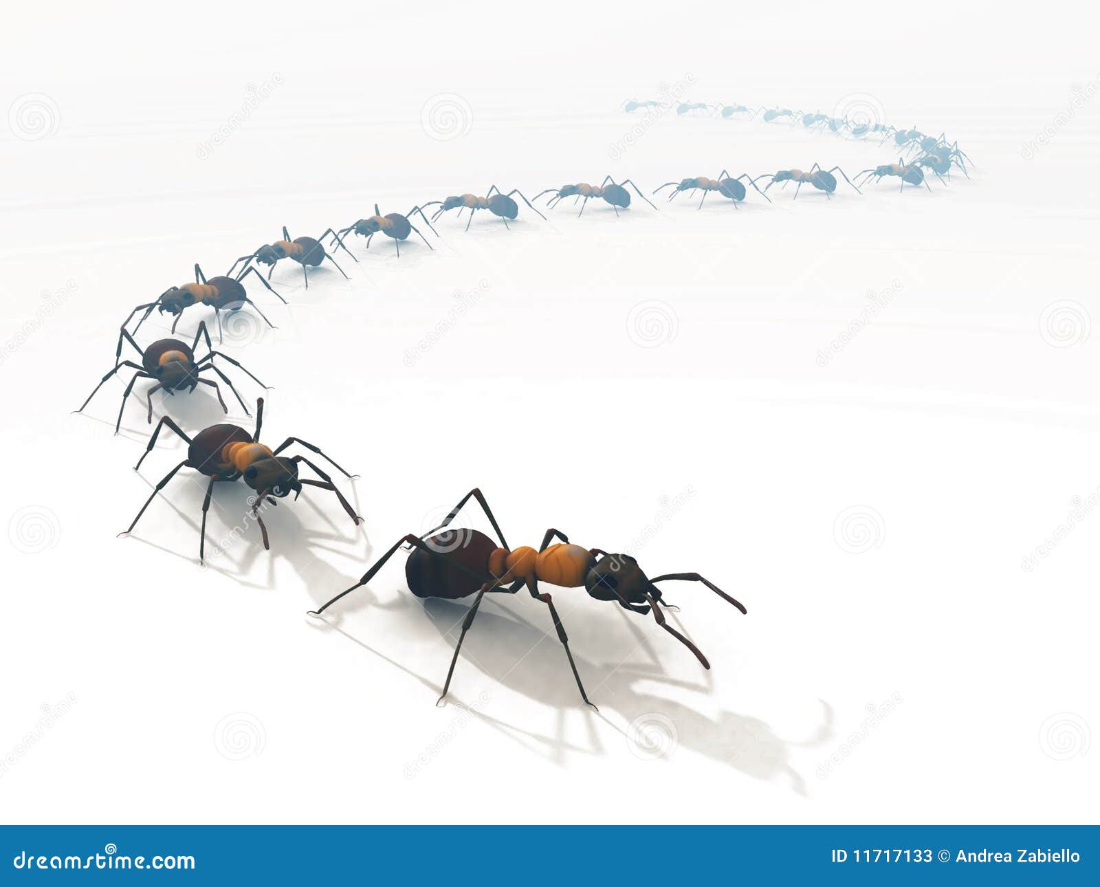 Ligne Blanc Des Fourmis 3d De File D'attente D'isolement Illustration ...