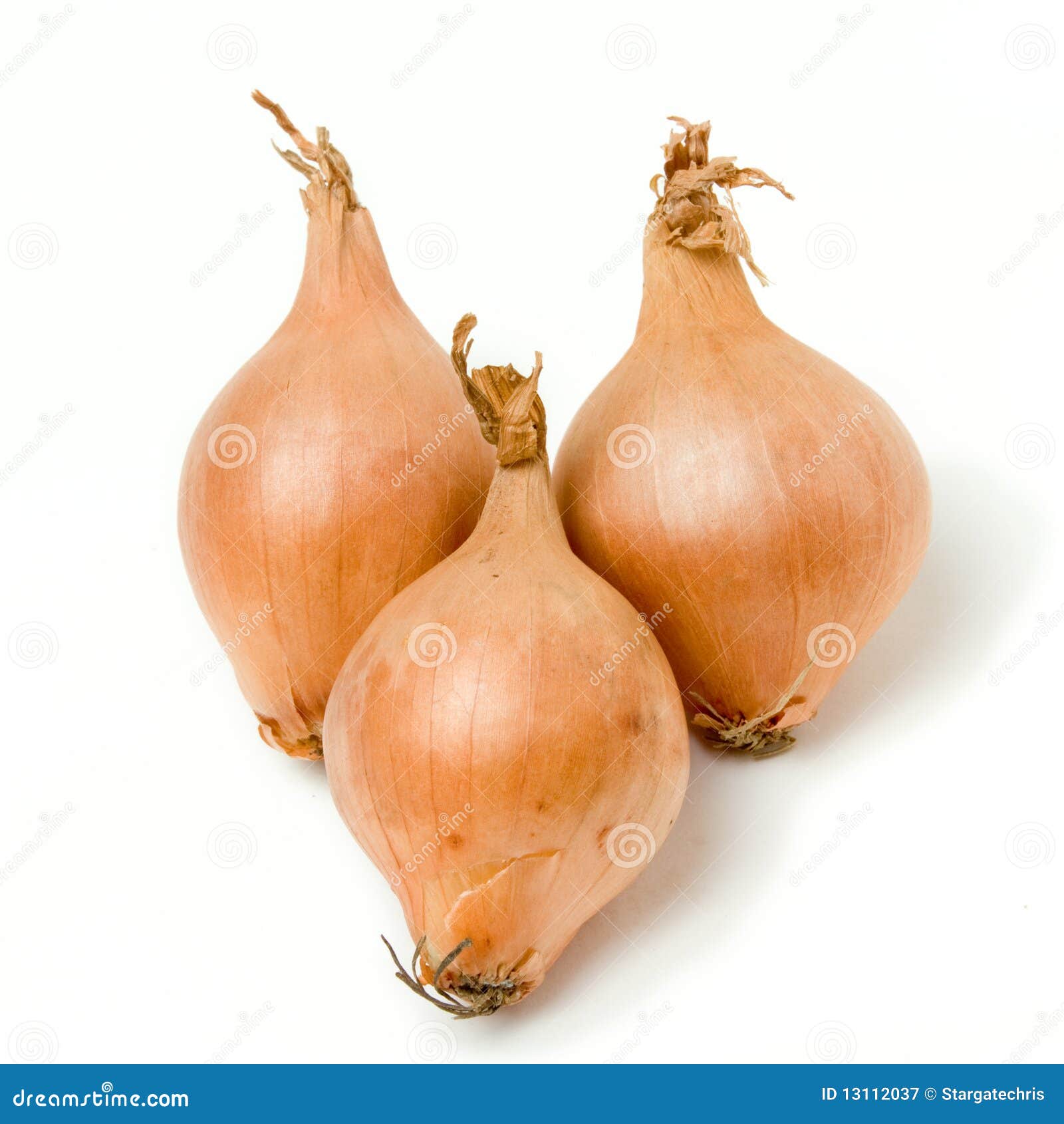 Ligne d'échalote image stock. Image of ingrédient, studio - 13112037