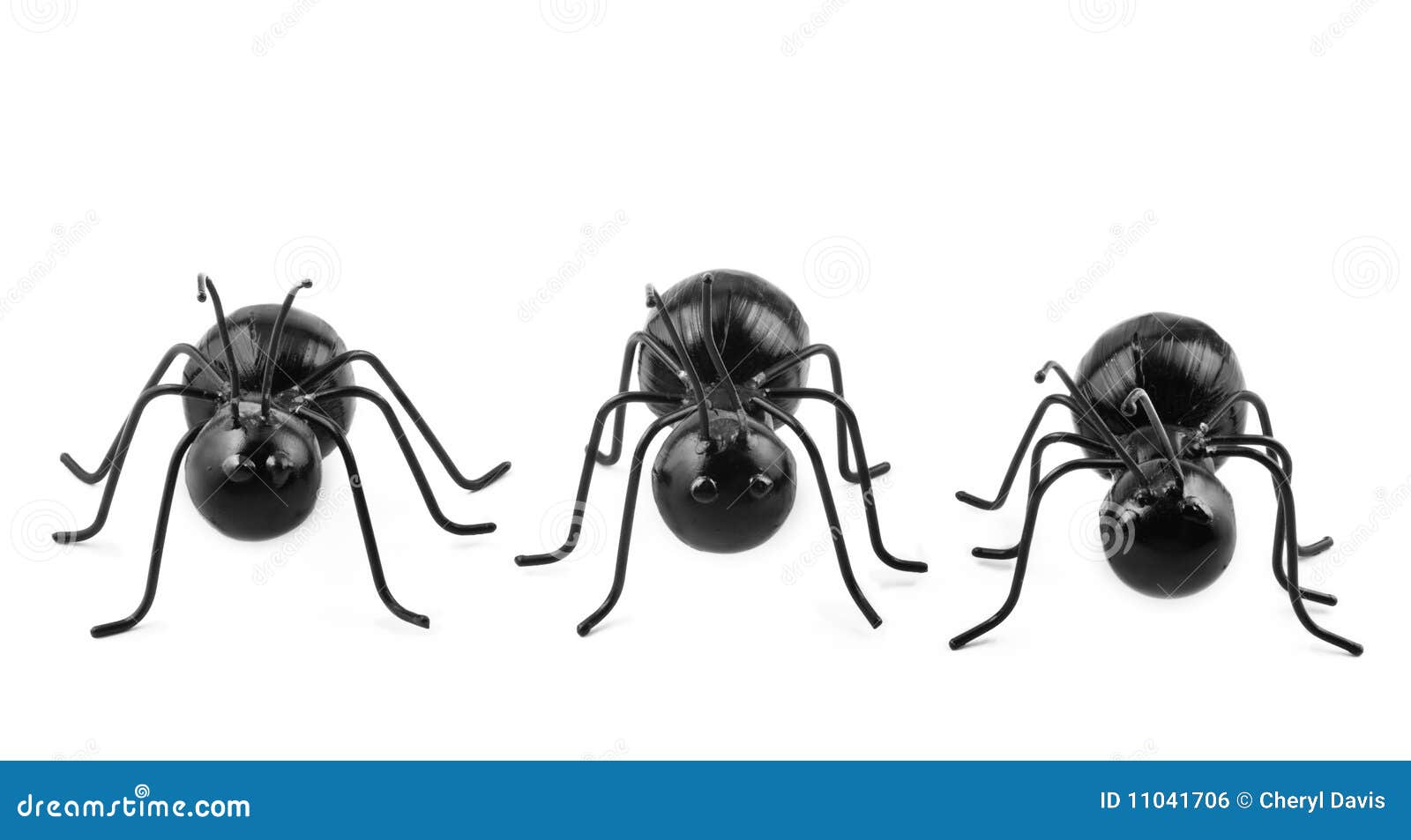 Ligne Horizontale De Trois Fourmis Photo stock - Image du nature, petit ...