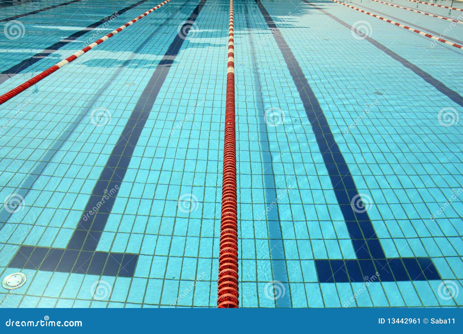 Lignes et eau de piscine image stock. Image du plomb - 13442961