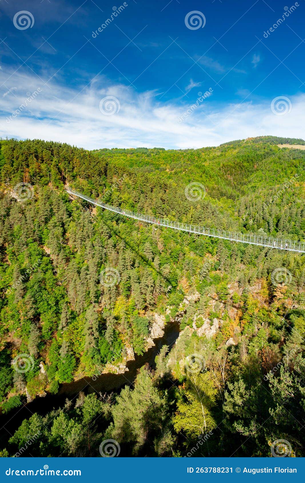 Lignon Canyon Himalayan Bridge, France Stock Image - Image of lignon ...