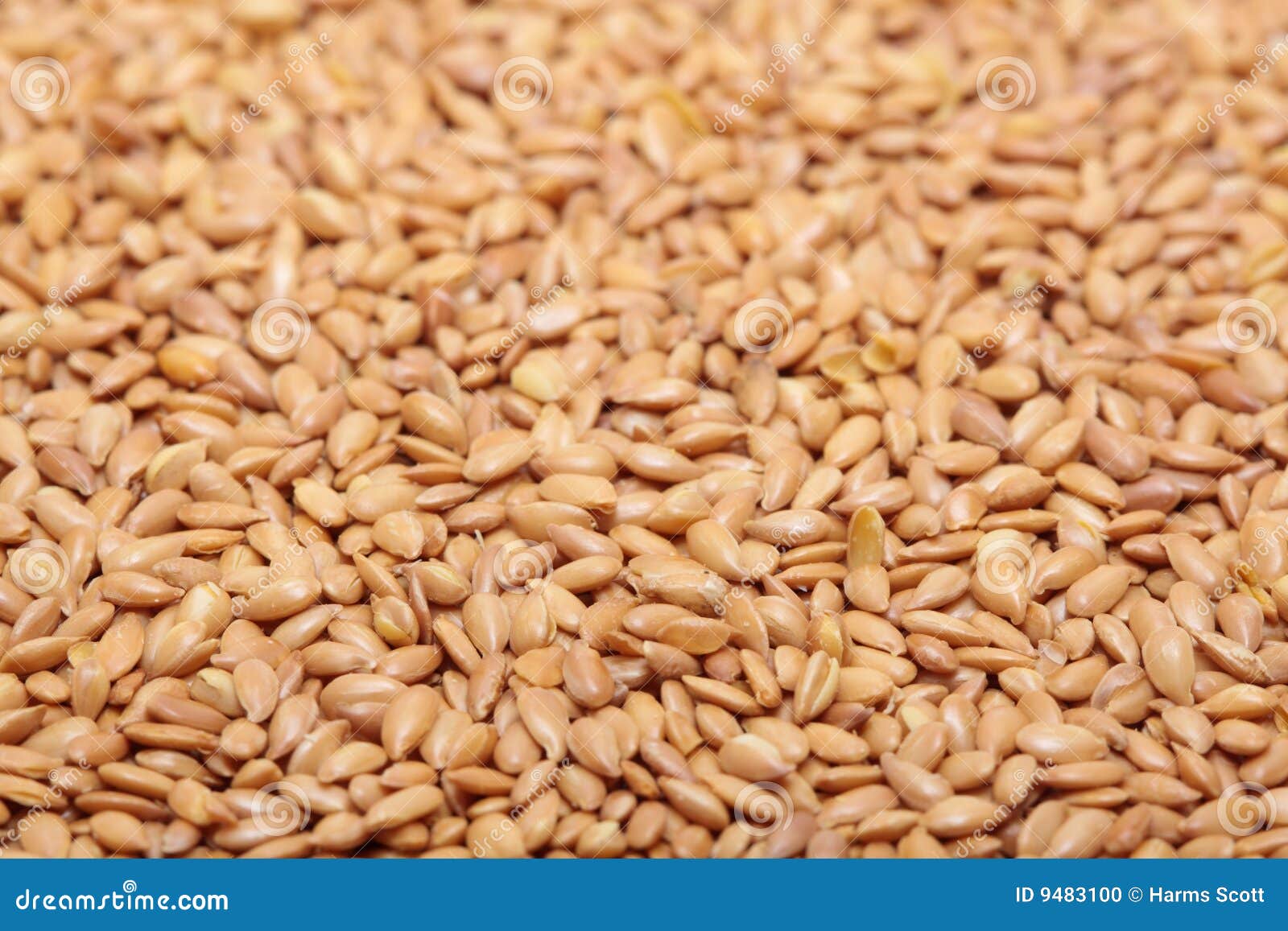 Lijnzaad stock foto. Image of veganistisch, eten, bruin - 9483100