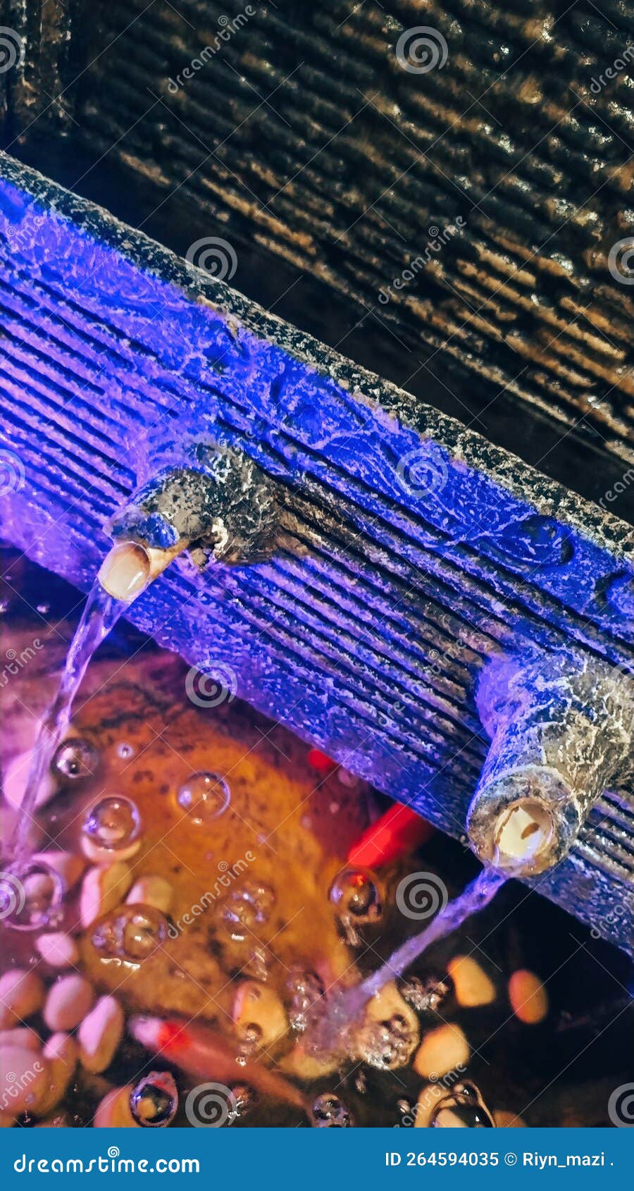 Like Flowing Water, Like a Comfort Zone Stock Image - Image of animal ...