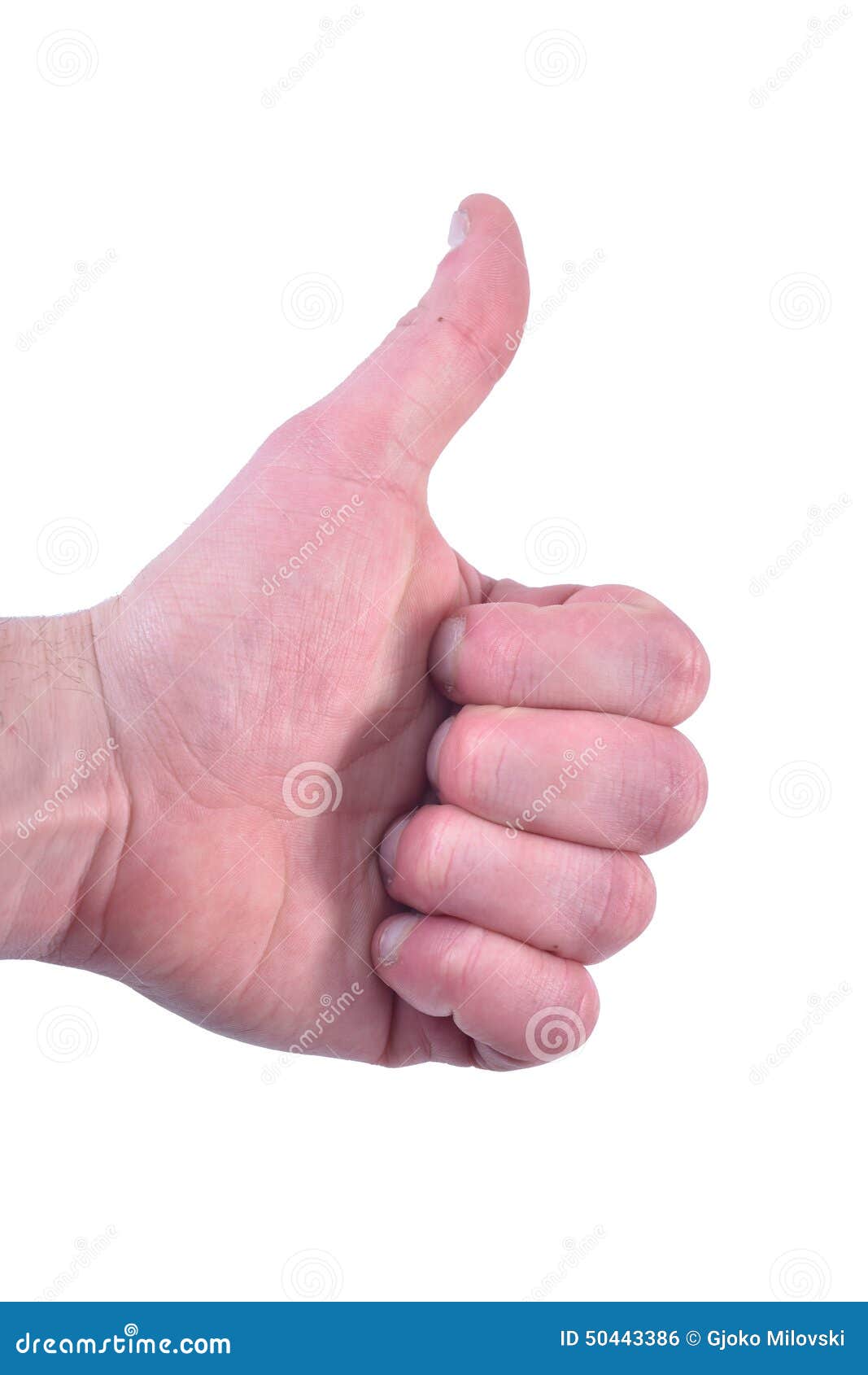 Like stock photo. Image of agreement, expressing, like - 50443386