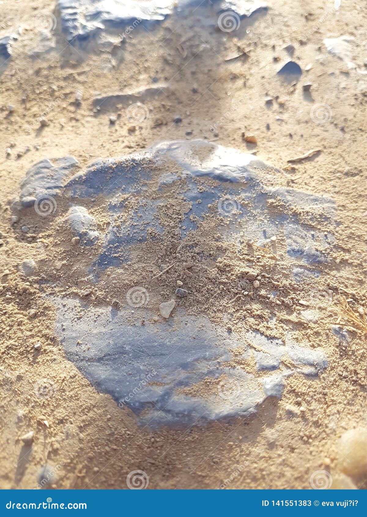 Like in sahara stock image. Image of sand, drought, sahara - 141551383