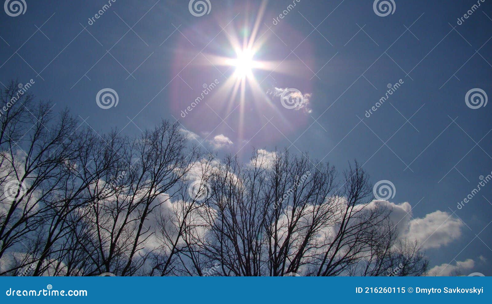 Like the Sun Over the Spring Forest Stock Image - Image of ready, view ...