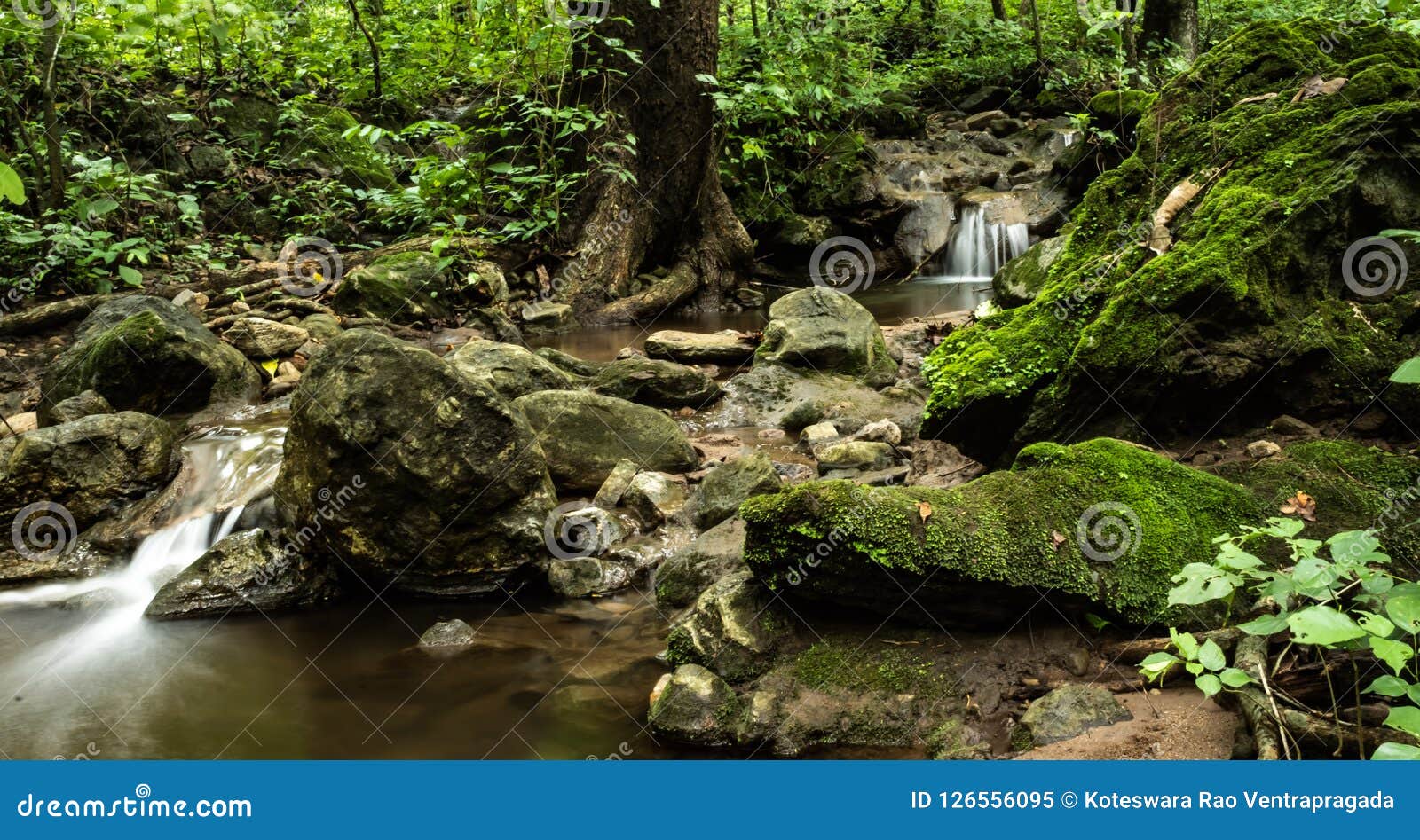 Pool the calm stock image. Image of pool, calm, water - 126556095