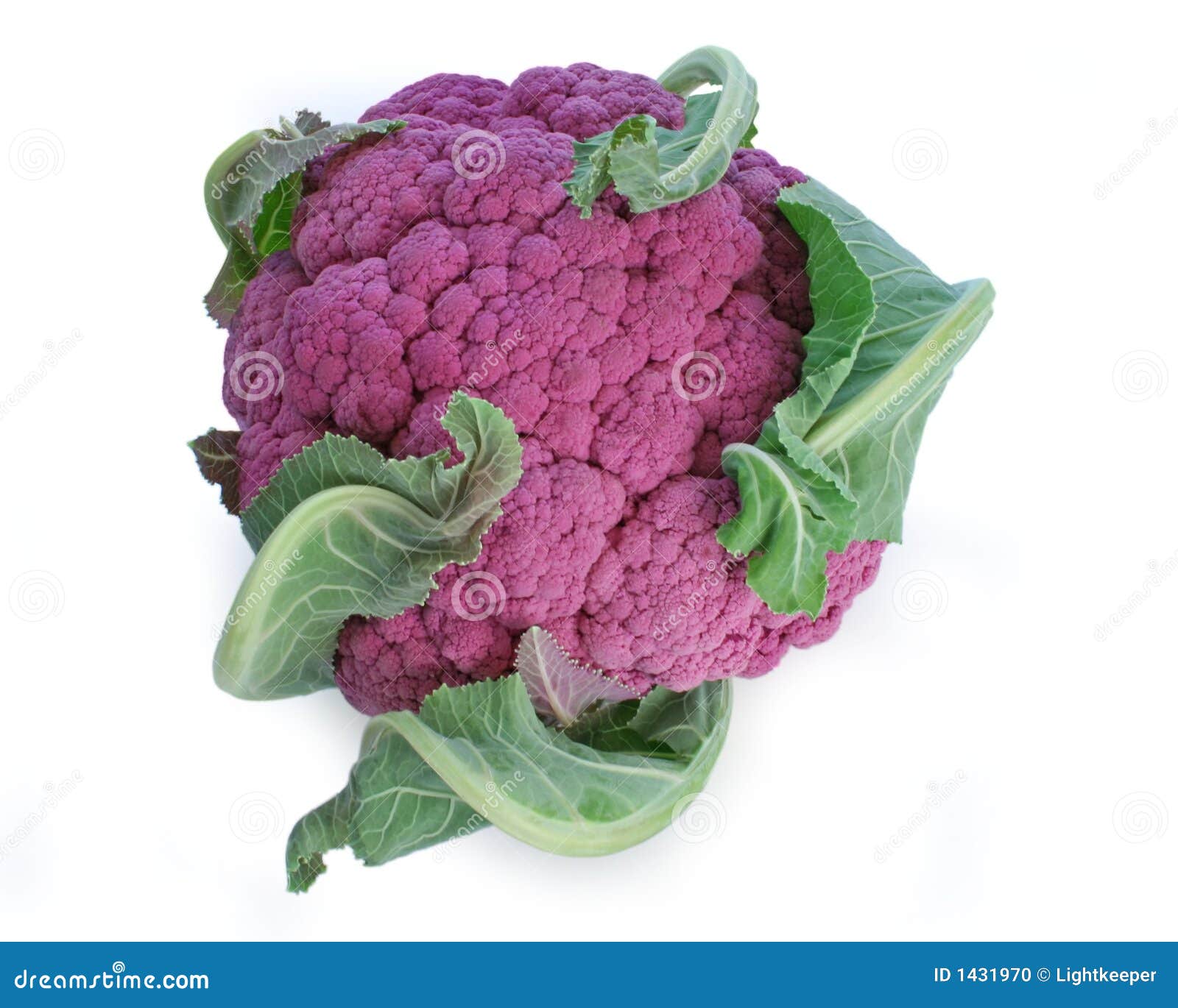 Lila Blumenkohl stockfoto. Bild von makro, lila, vitamin - 1431970