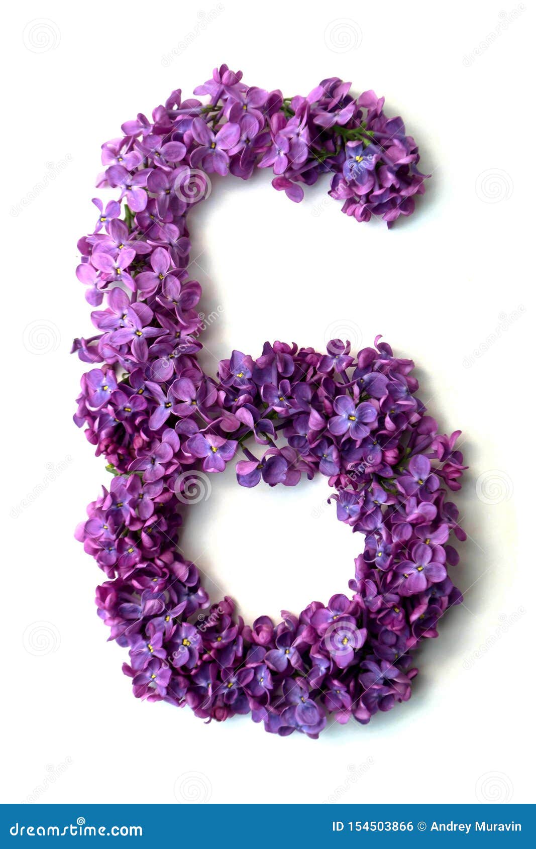 Lilac alphabet stock photo. Image of color, plant, style - 154503866