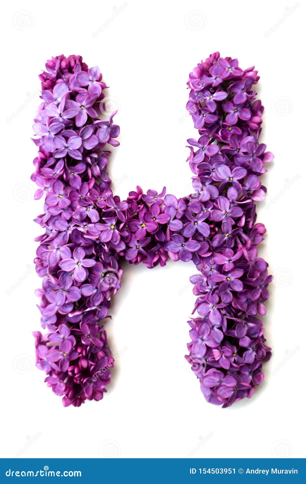 Lilac alphabet stock image. Image of lilac, sign, petal - 154503951