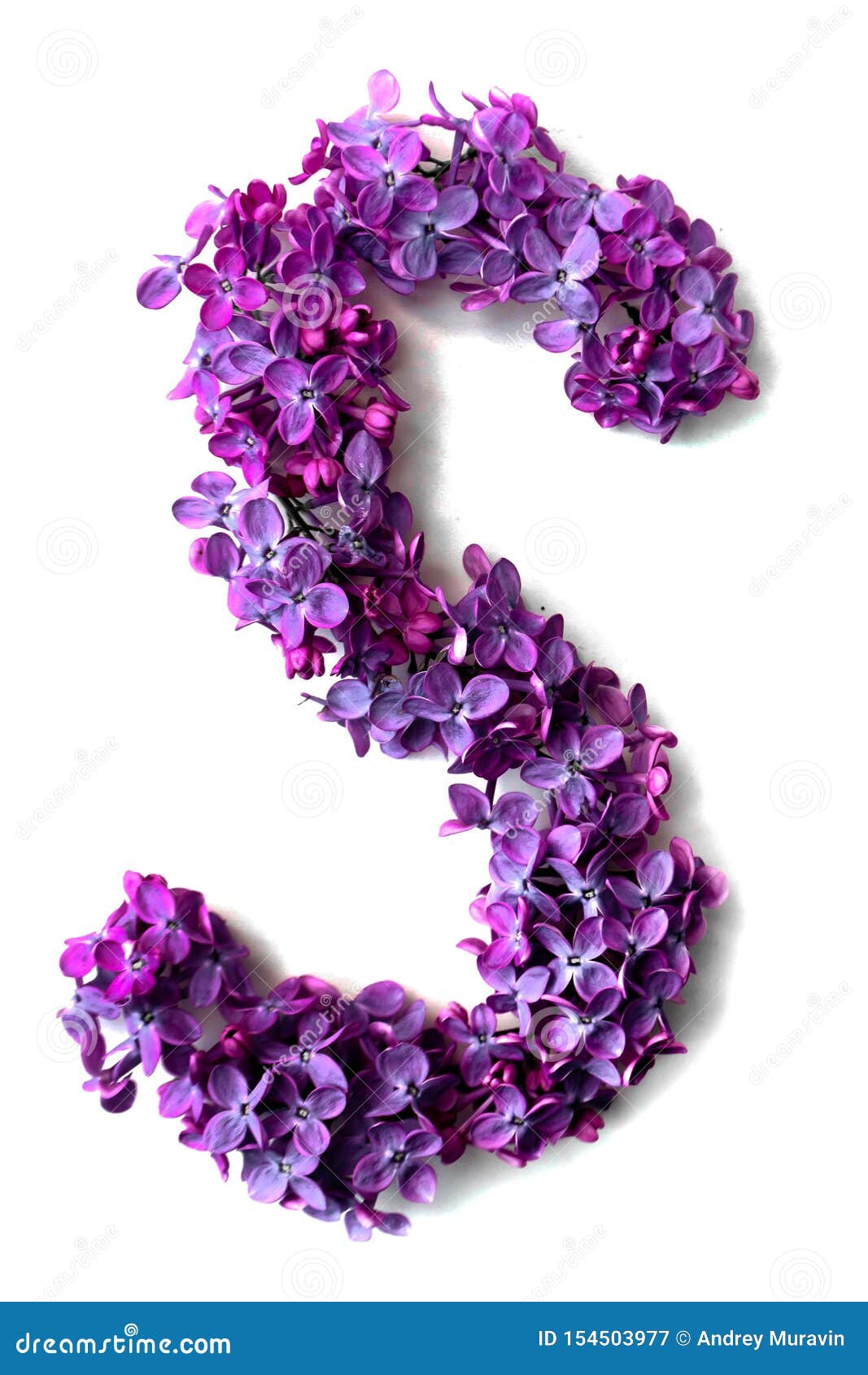 Lilac alphabet stock image. Image of alphabet, english - 154503977