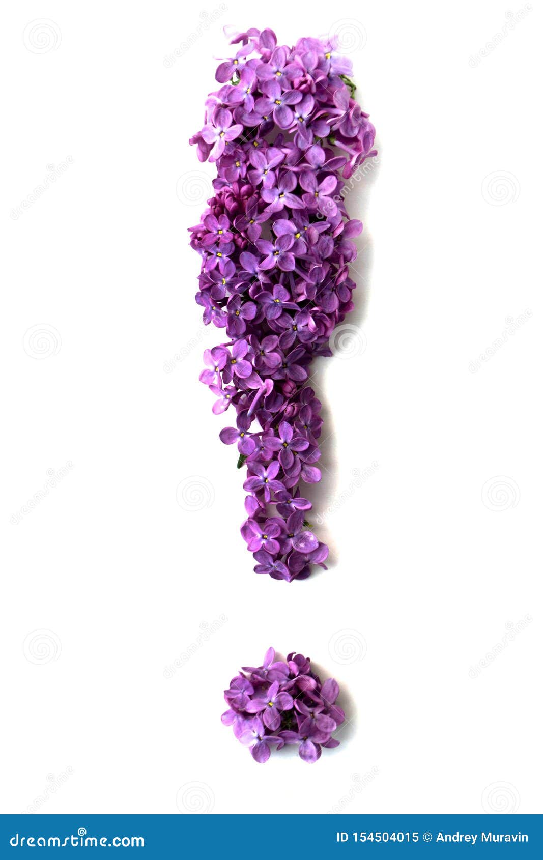 Lilac alphabet stock image. Image of mark, floral, symbol - 154504015