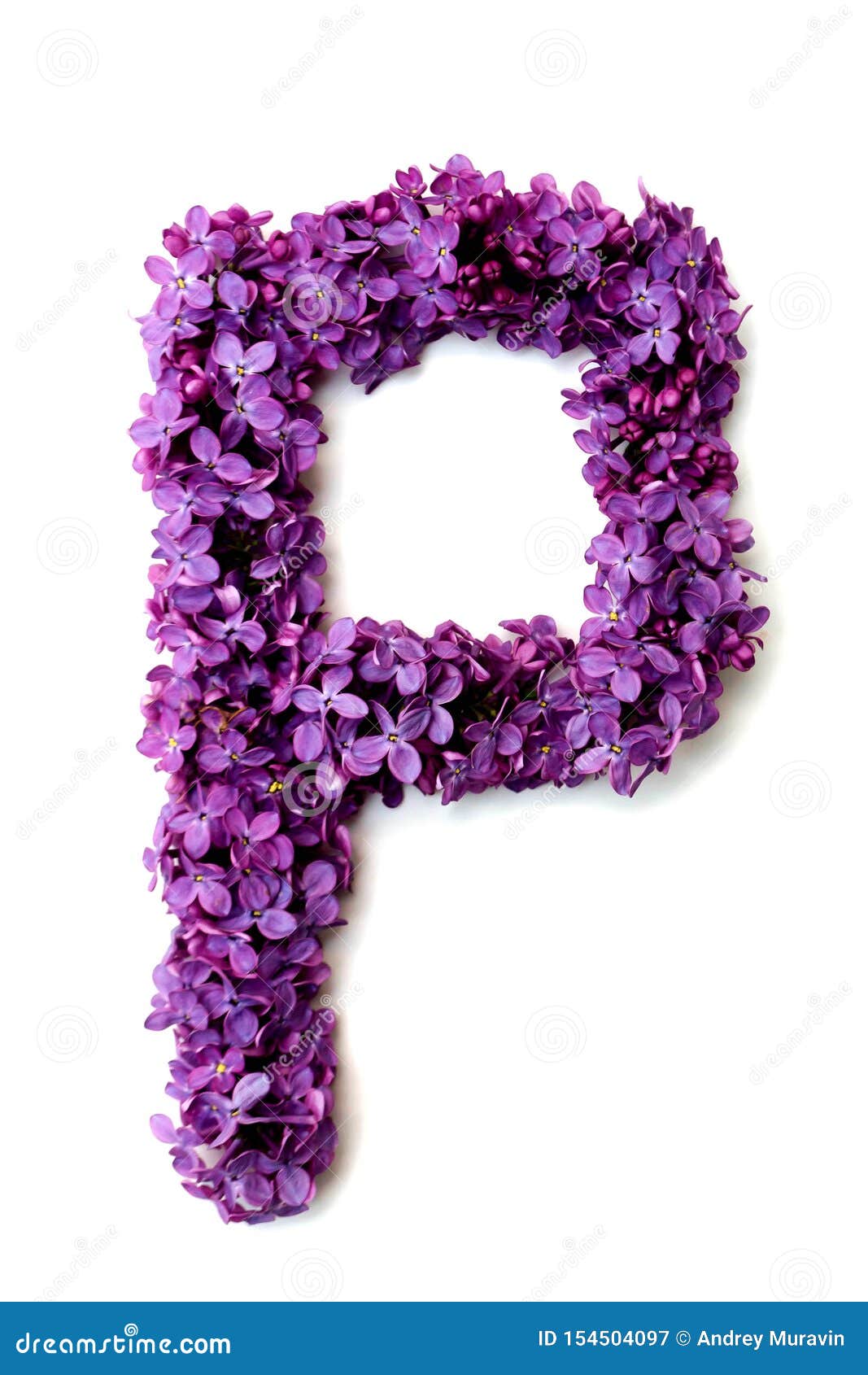 Lilac alphabet stock image. Image of floral, color, petal - 154504097