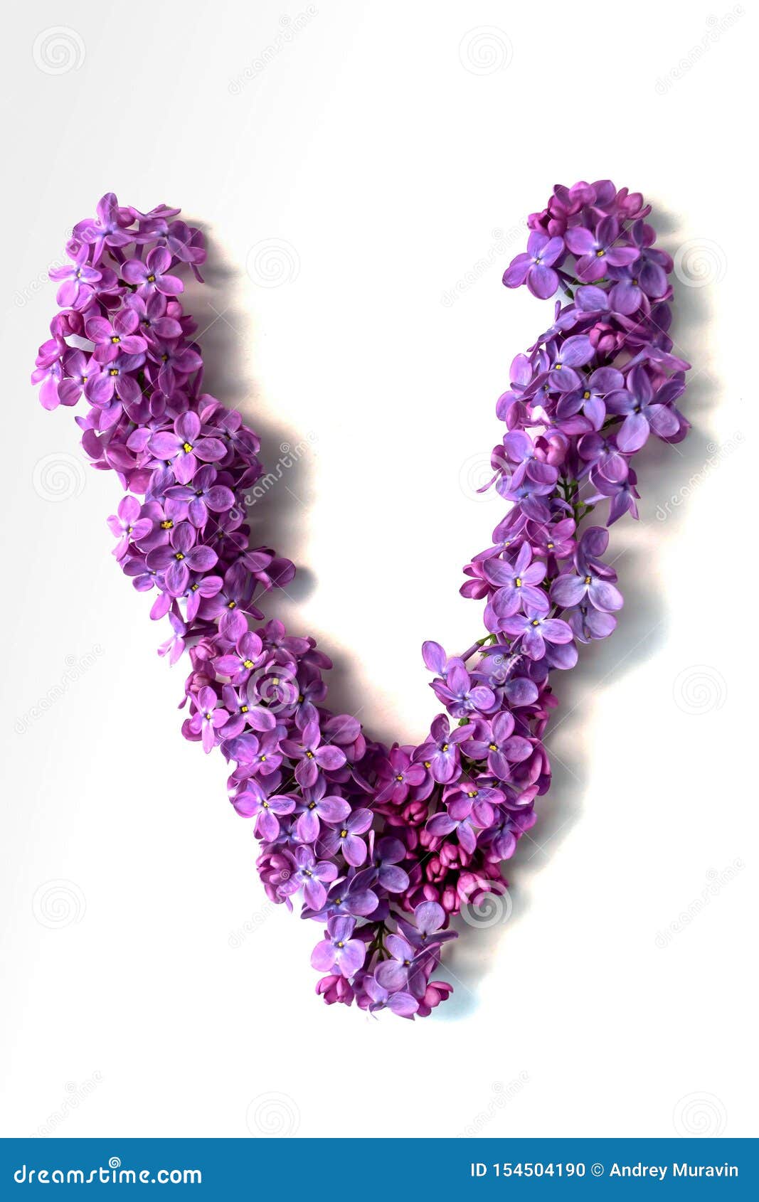 Lilac alphabet stock photo. Image of flowers, symbol - 154504190