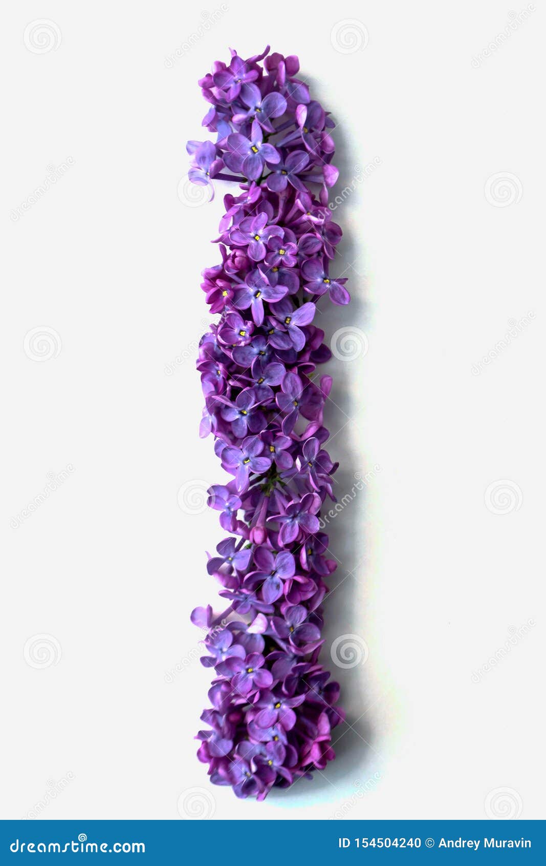 Lilac alphabet stock photo. Image of isolated, texture - 154504240