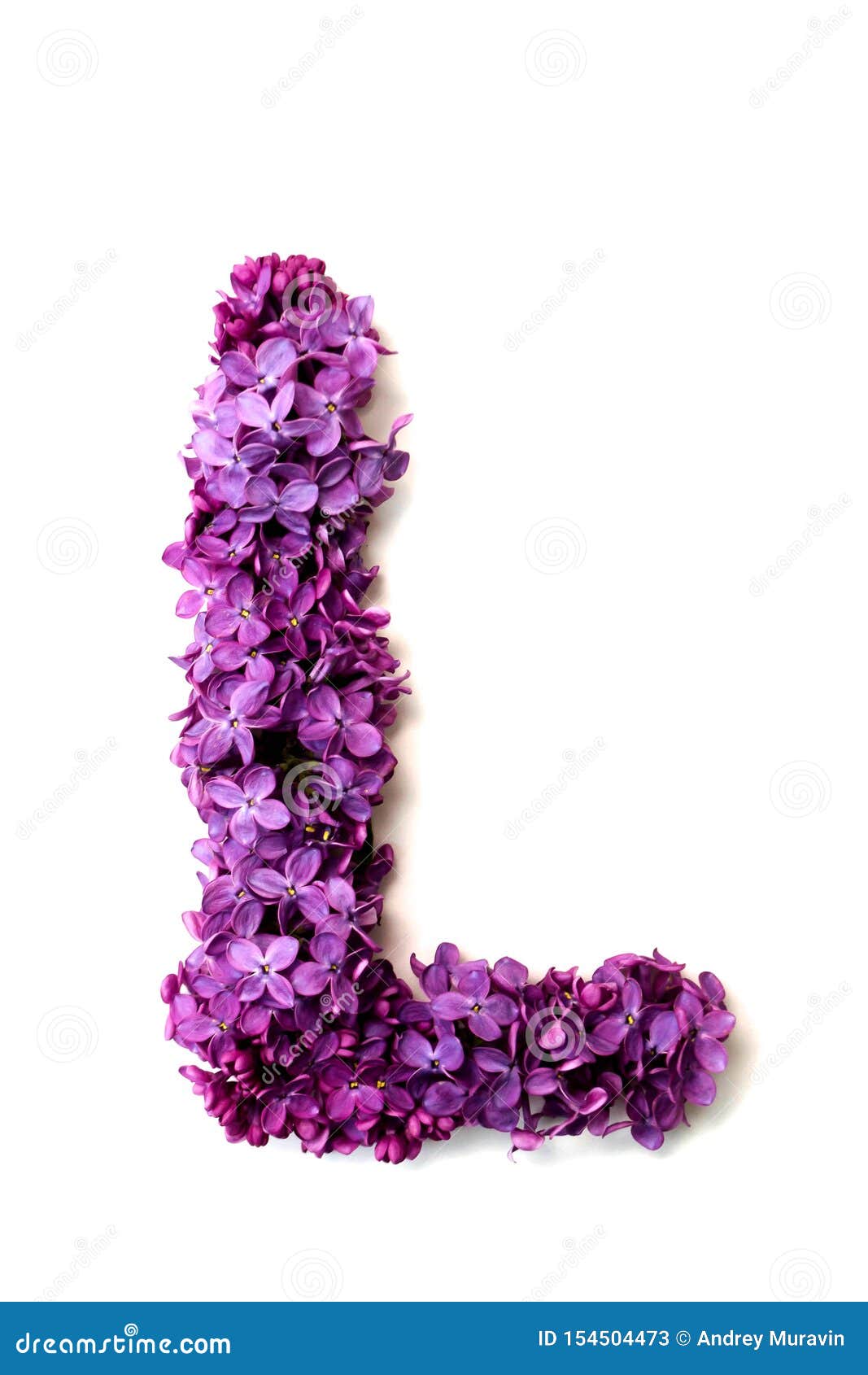 Lilac alphabet stock image. Image of lilac, flower, petal - 154504473