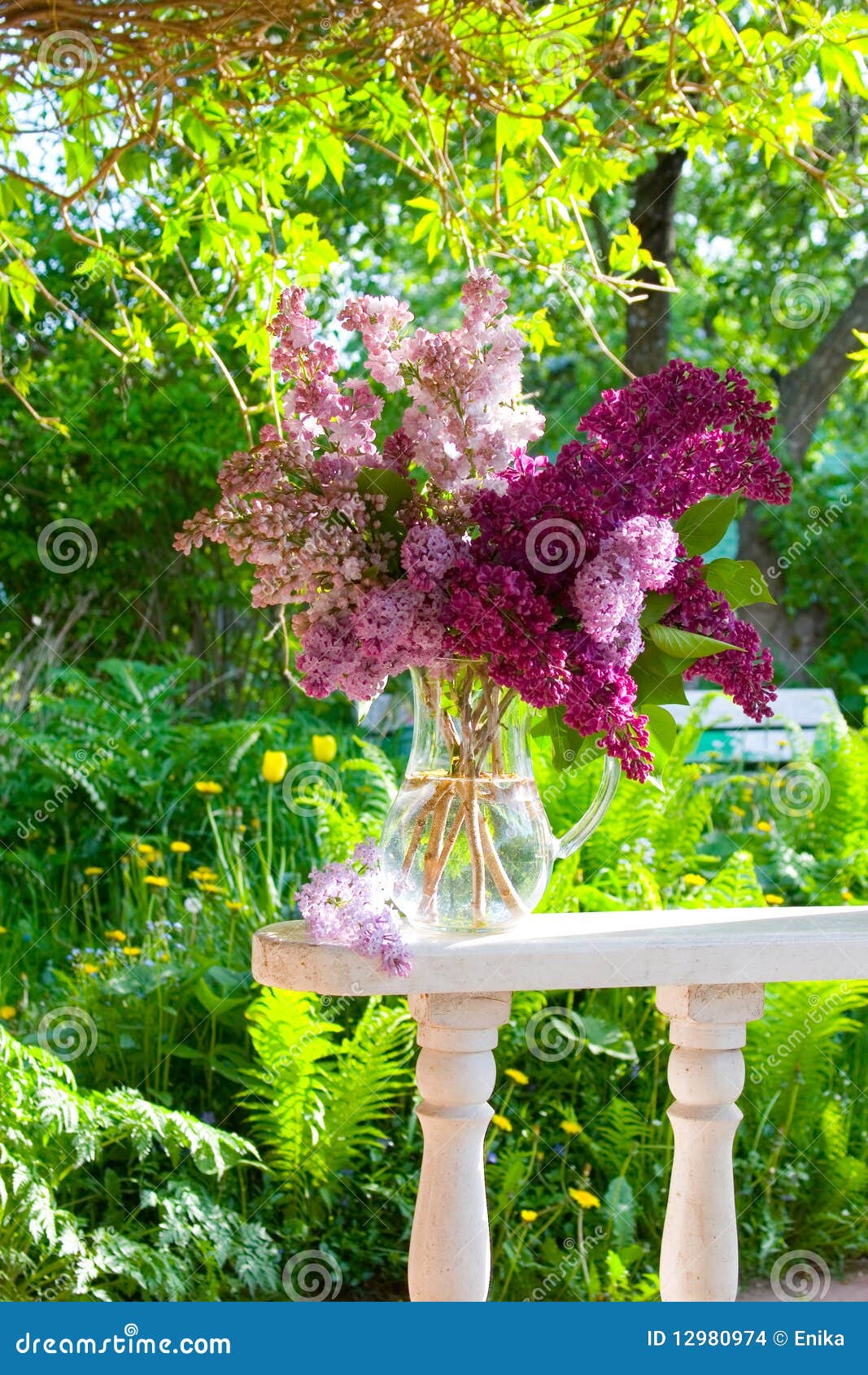 Lilac bouquet stock photo. Image of beautiful, lilac - 12980974